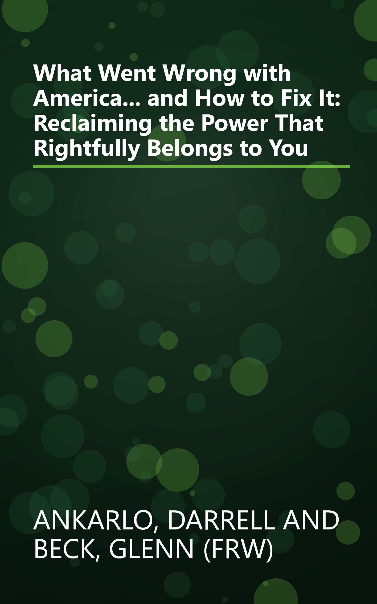 What Went Wrong with America... and How to Fix It: Reclaiming the Power That Rightfully Belongs to You book cover