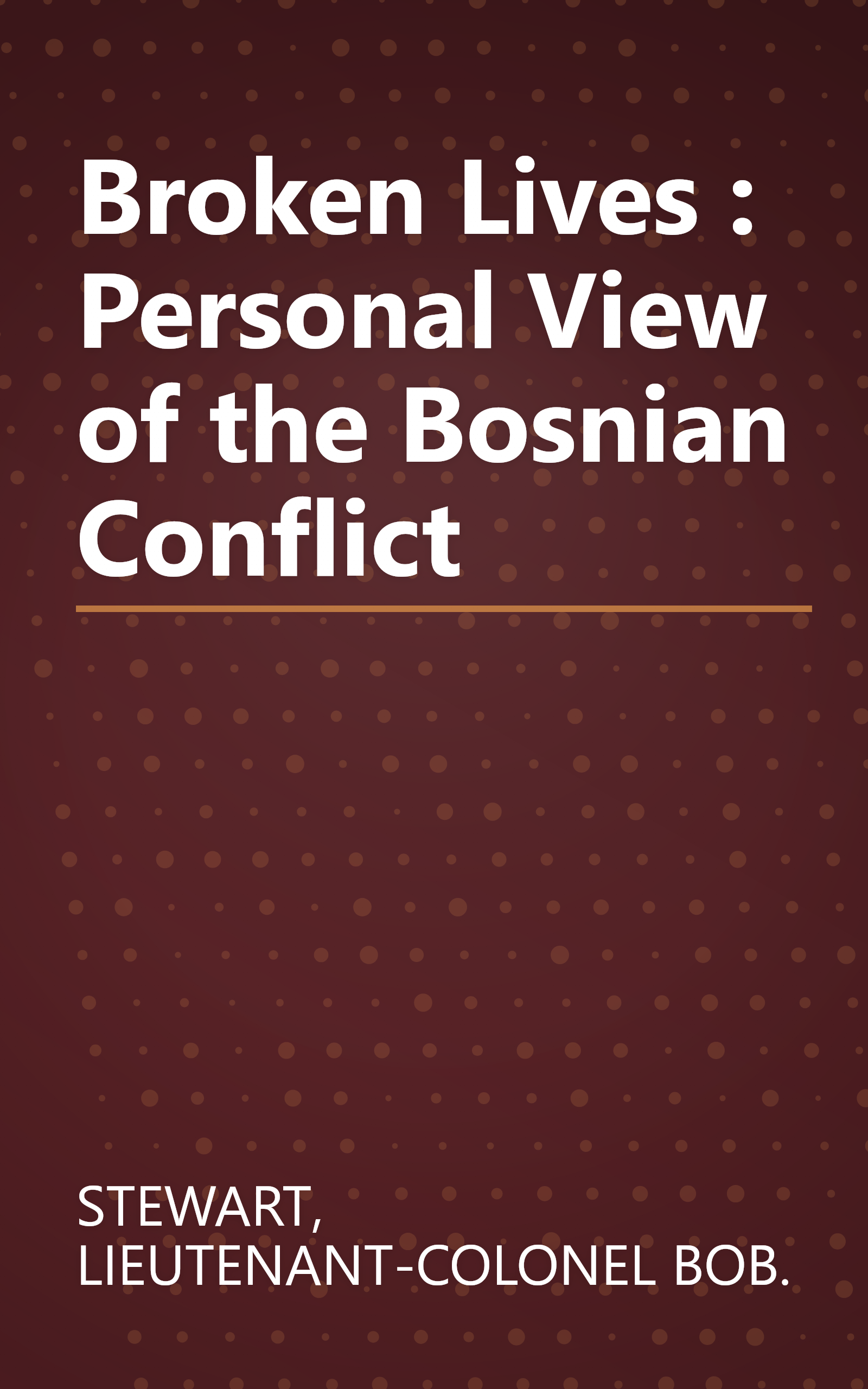 Broken Lives : Personal View of the Bosnian Conflict book cover