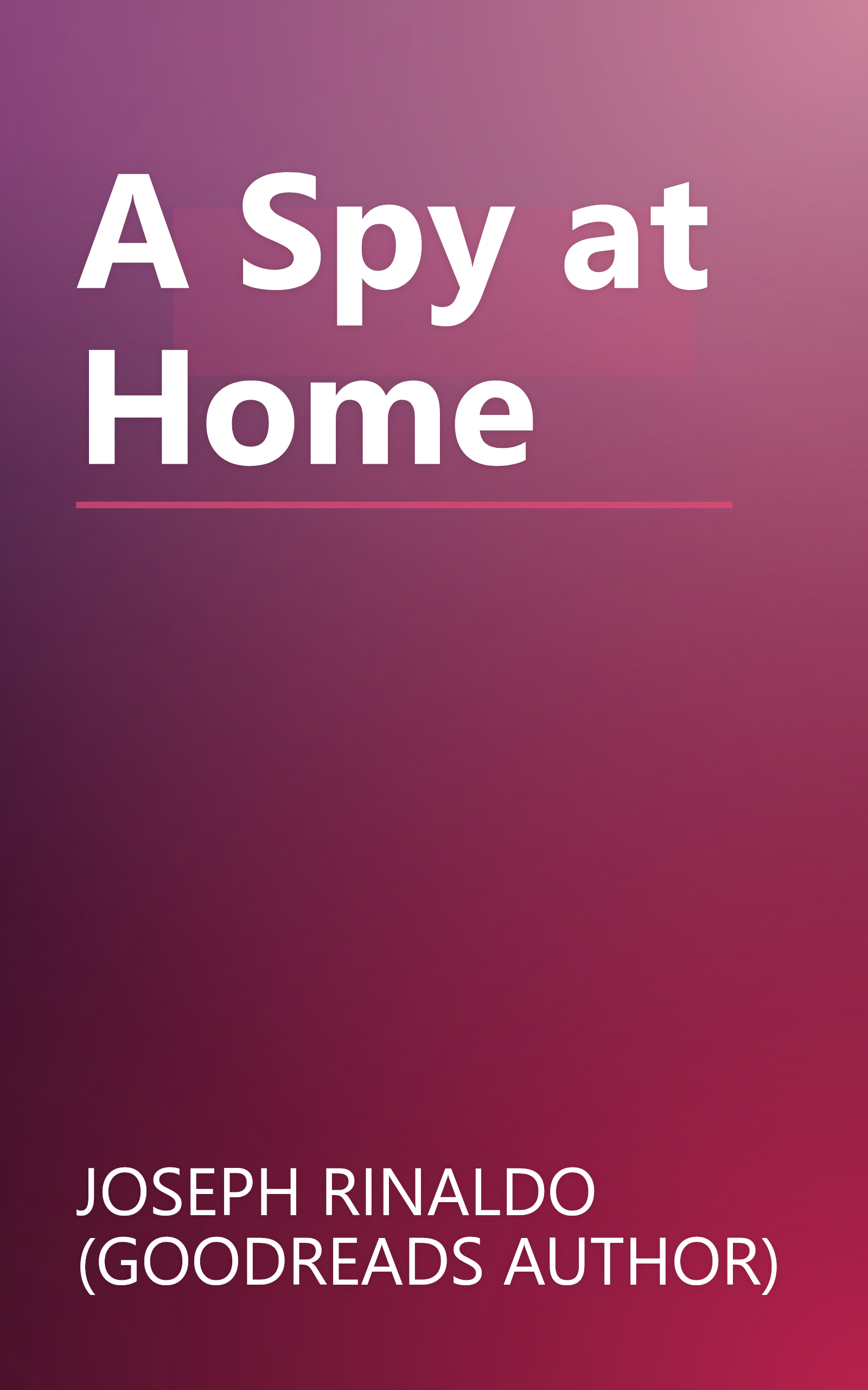 A Spy at Home book cover