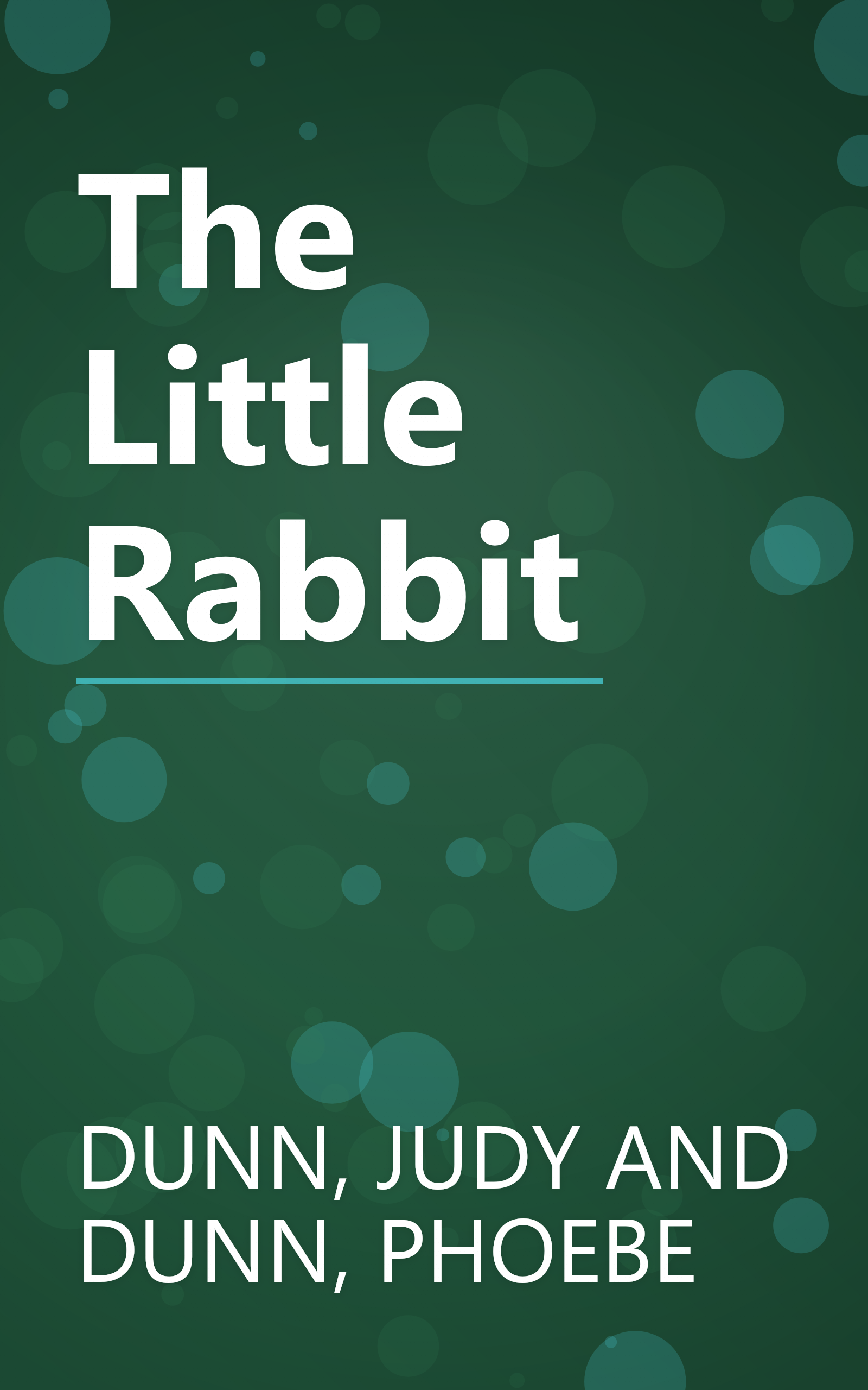 The Little Rabbit book cover