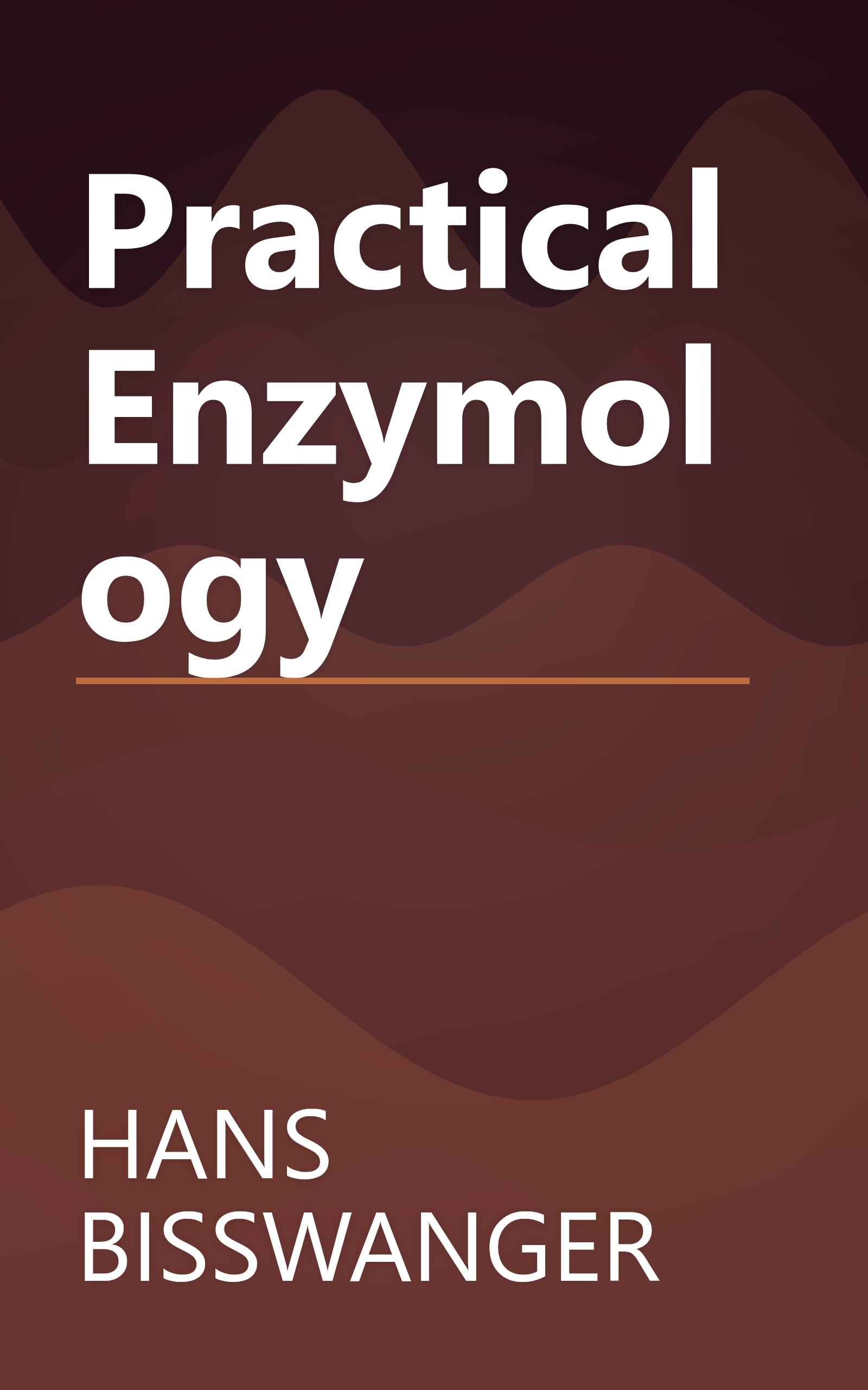 Practical Enzymology book cover