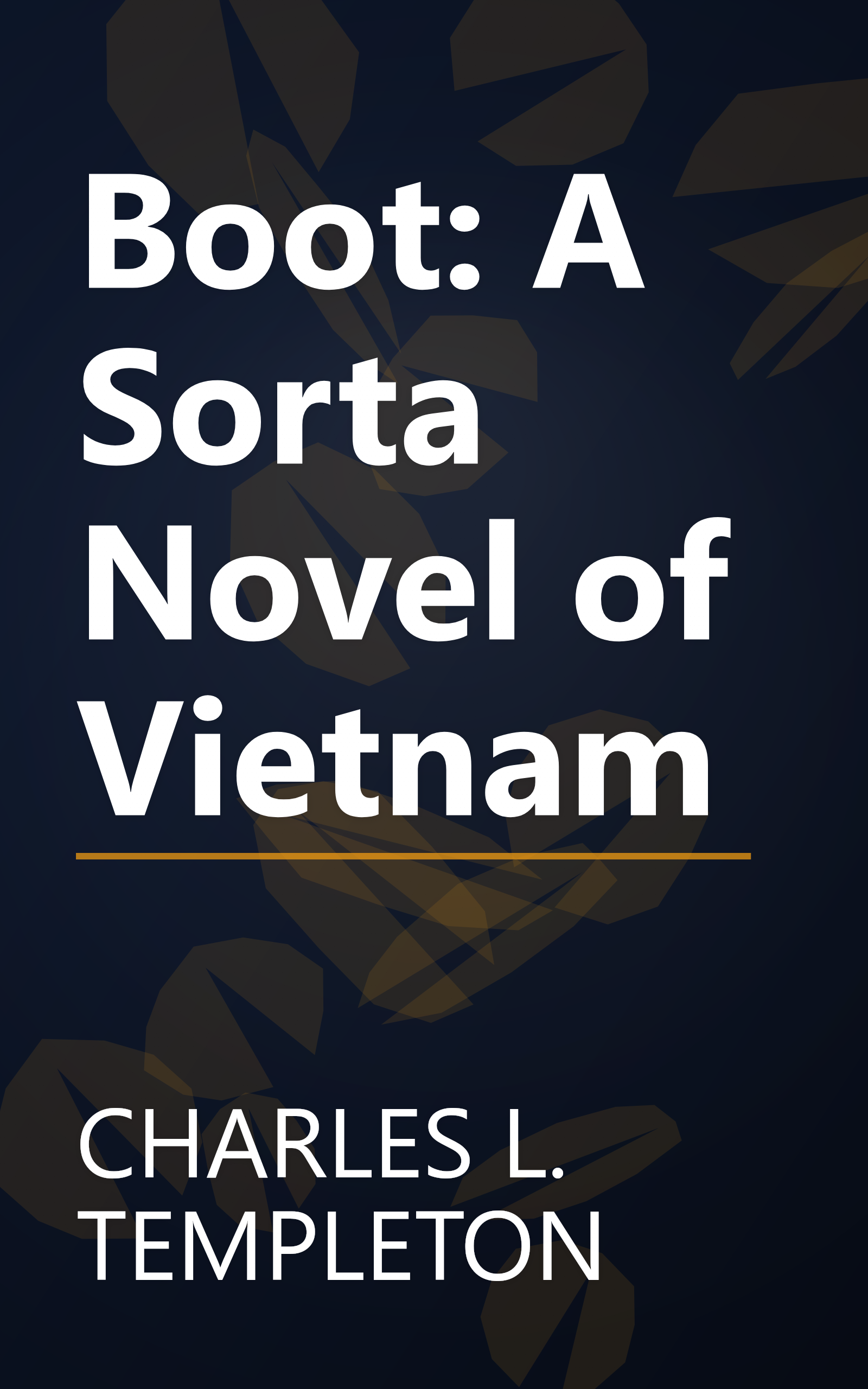 Boot: A Sorta Novel of Vietnam book cover