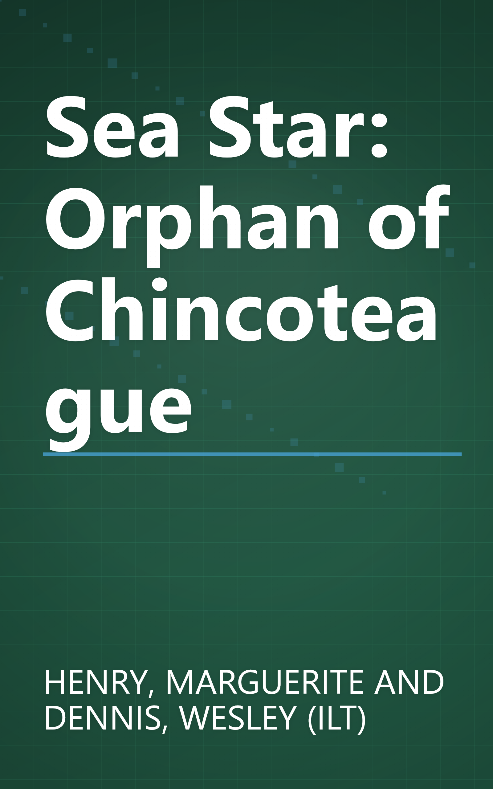 Sea Star: Orphan of Chincoteague book cover