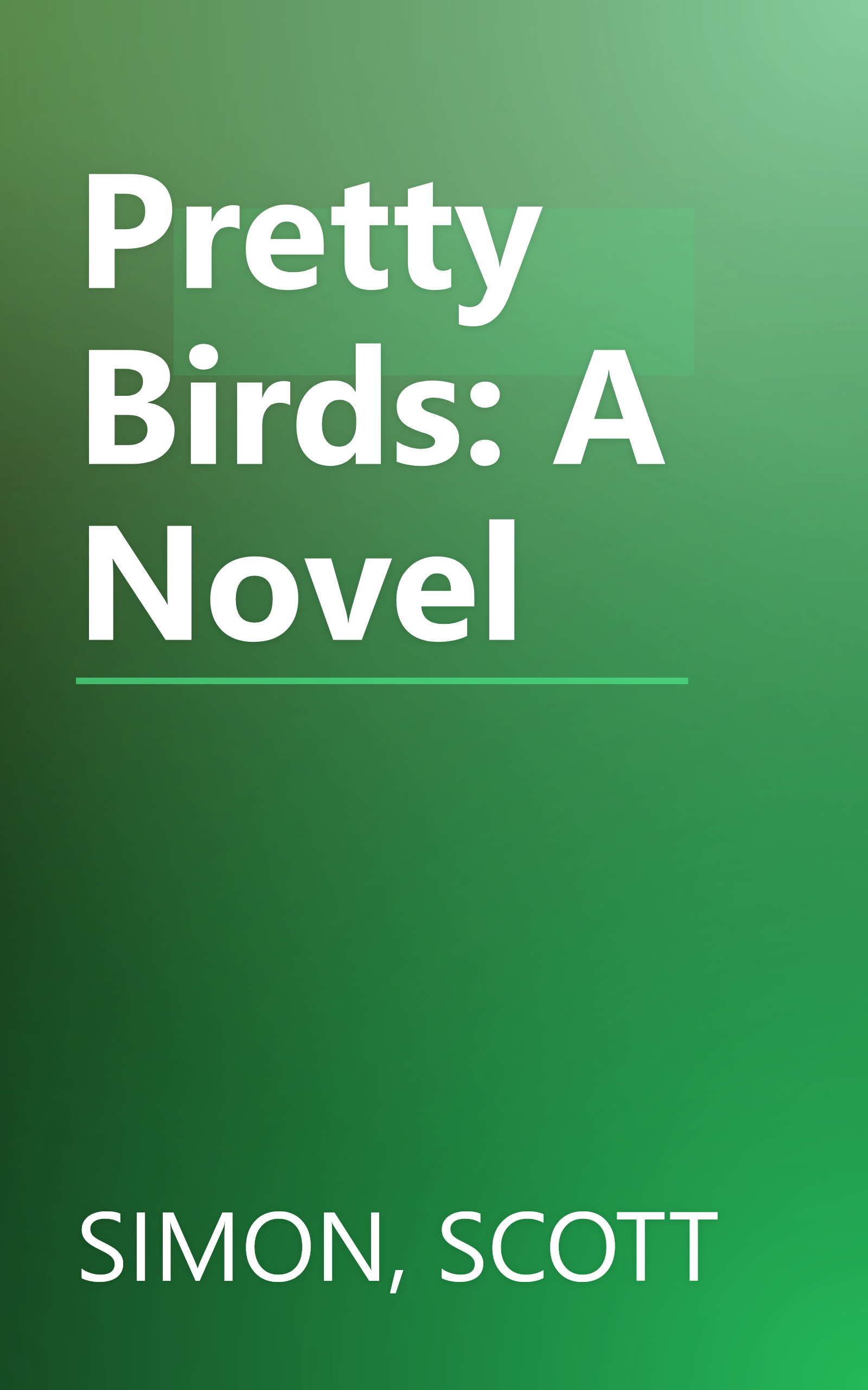 Pretty Birds: A Novel book cover
