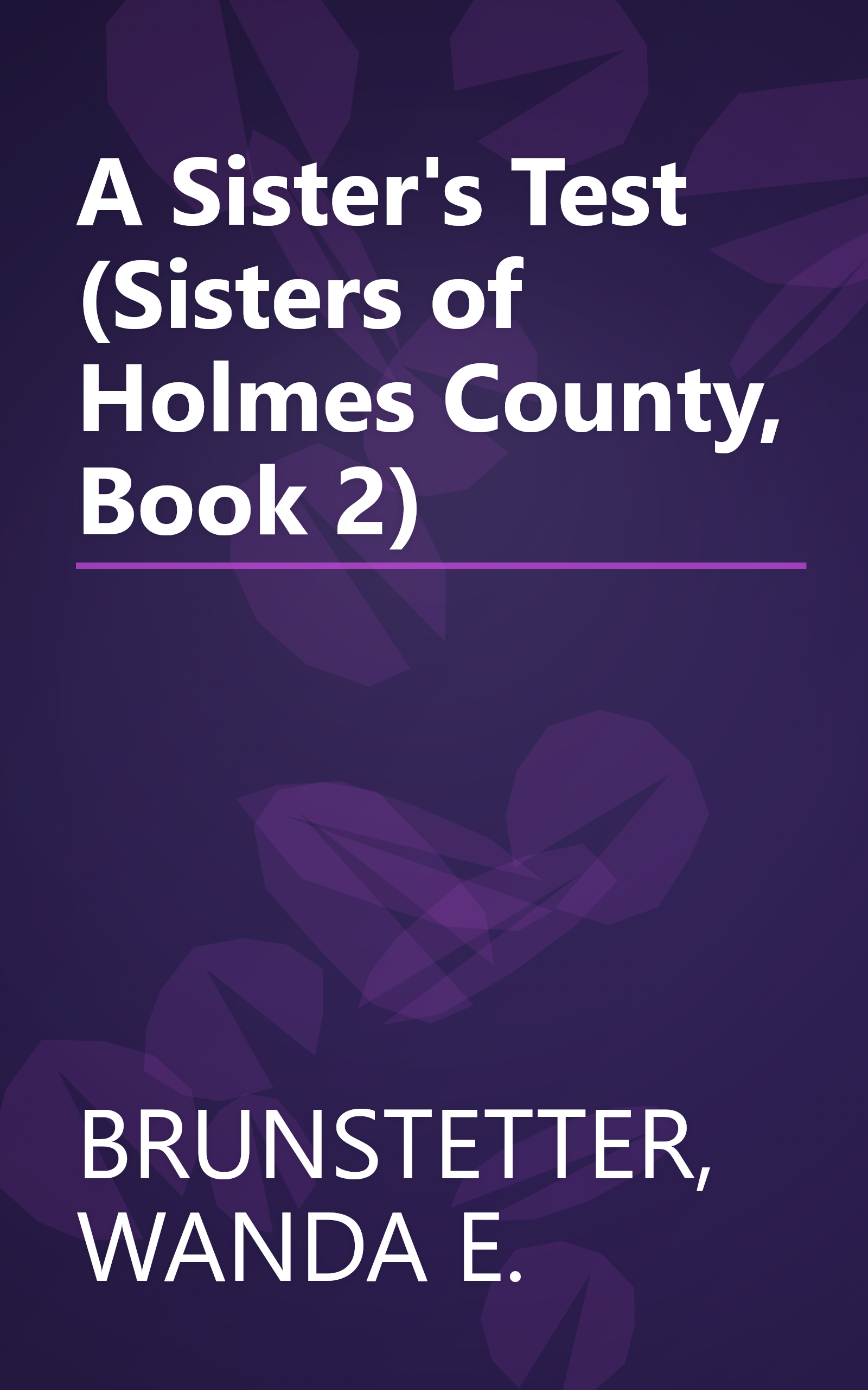 A Sister's Test (Sisters of Holmes County, Book 2) book cover