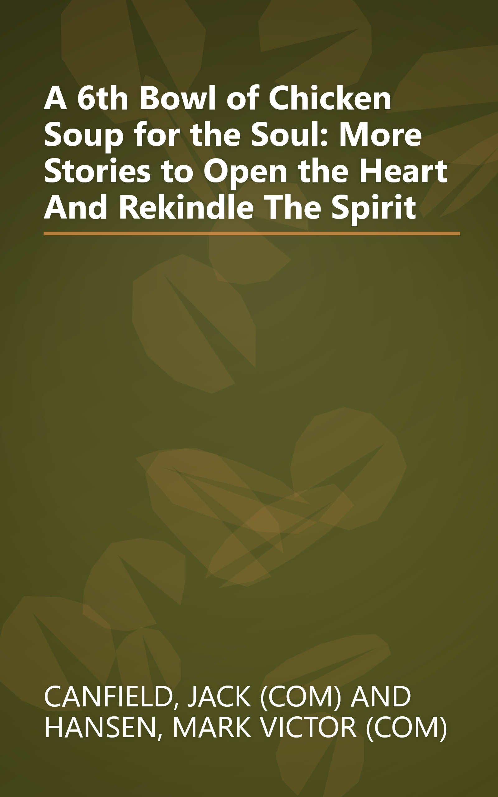 A 6th Bowl of Chicken Soup for the Soul: More Stories to Open the Heart And Rekindle The Spirit book cover