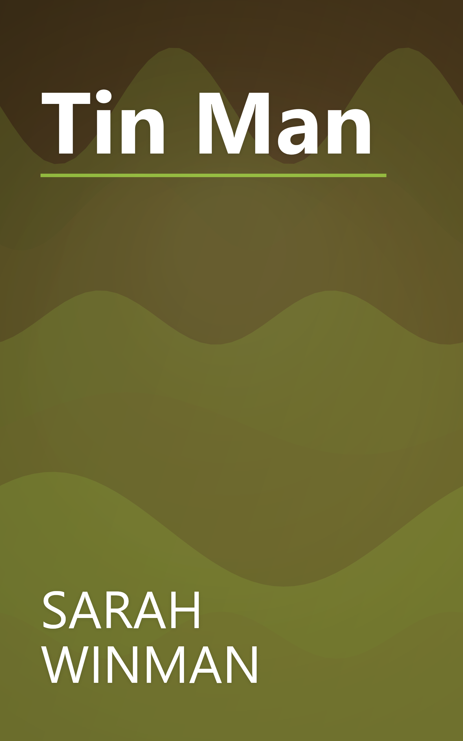 Tin Man book cover