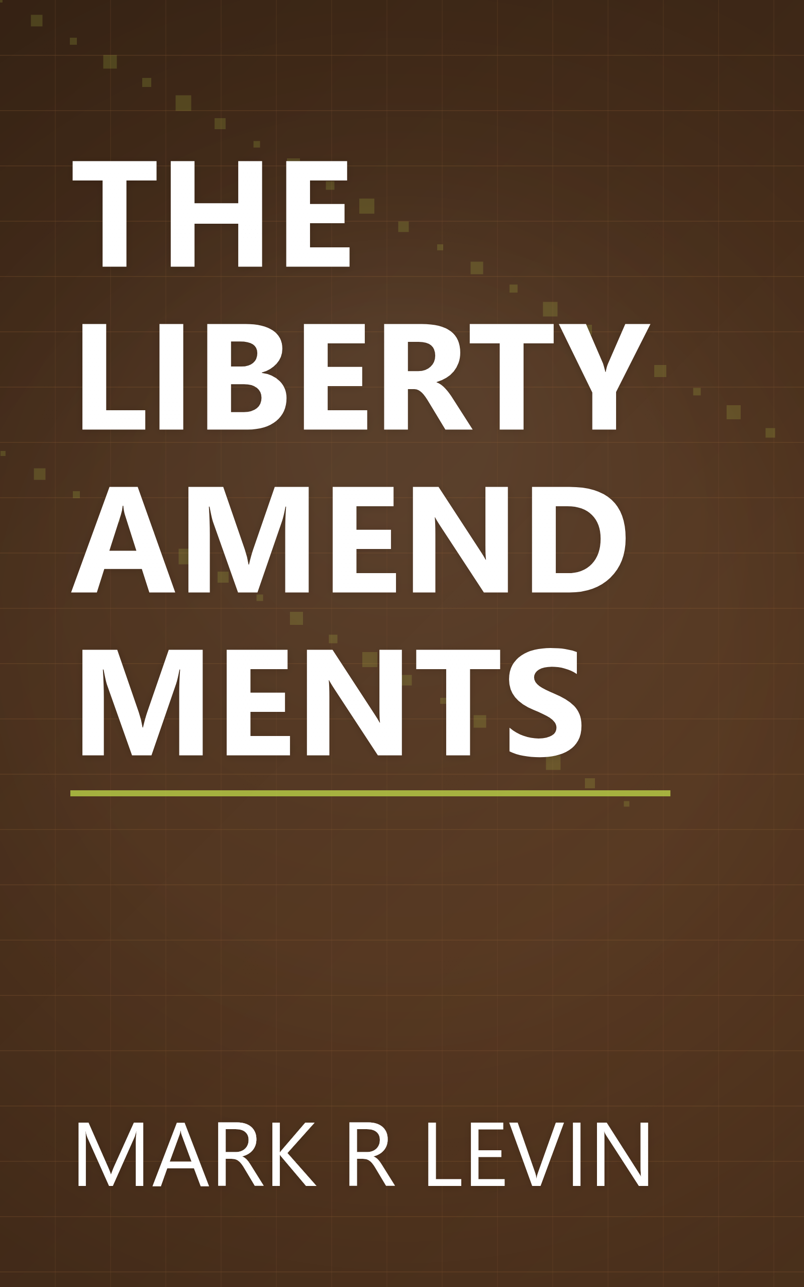 THE LIBERTY AMENDMENTS book cover