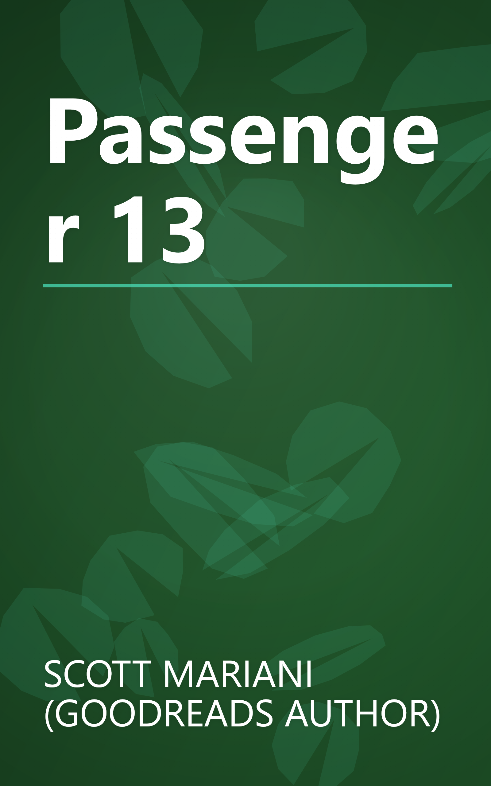 Passenger 13 book cover