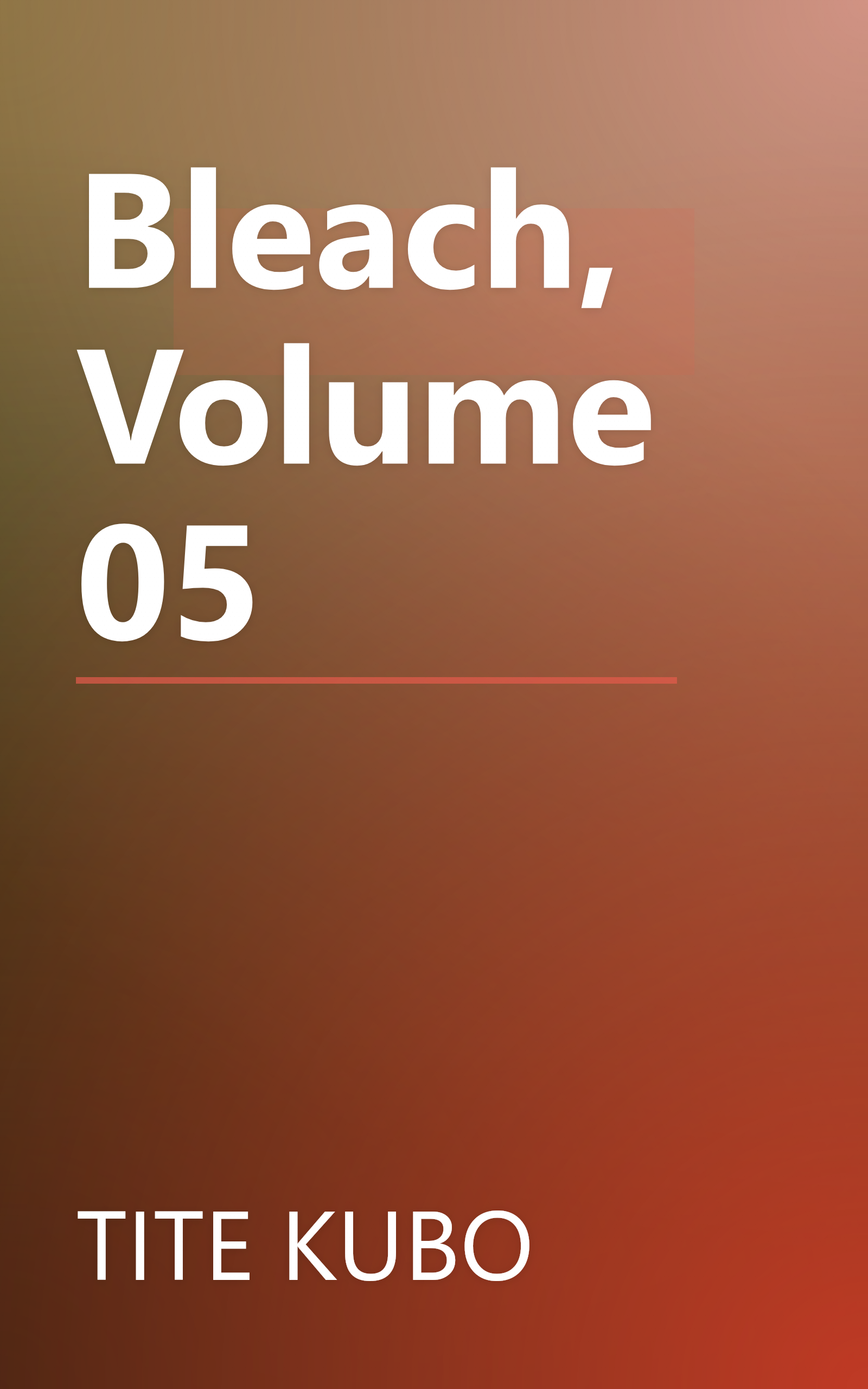 Bleach, Volume 05 book cover