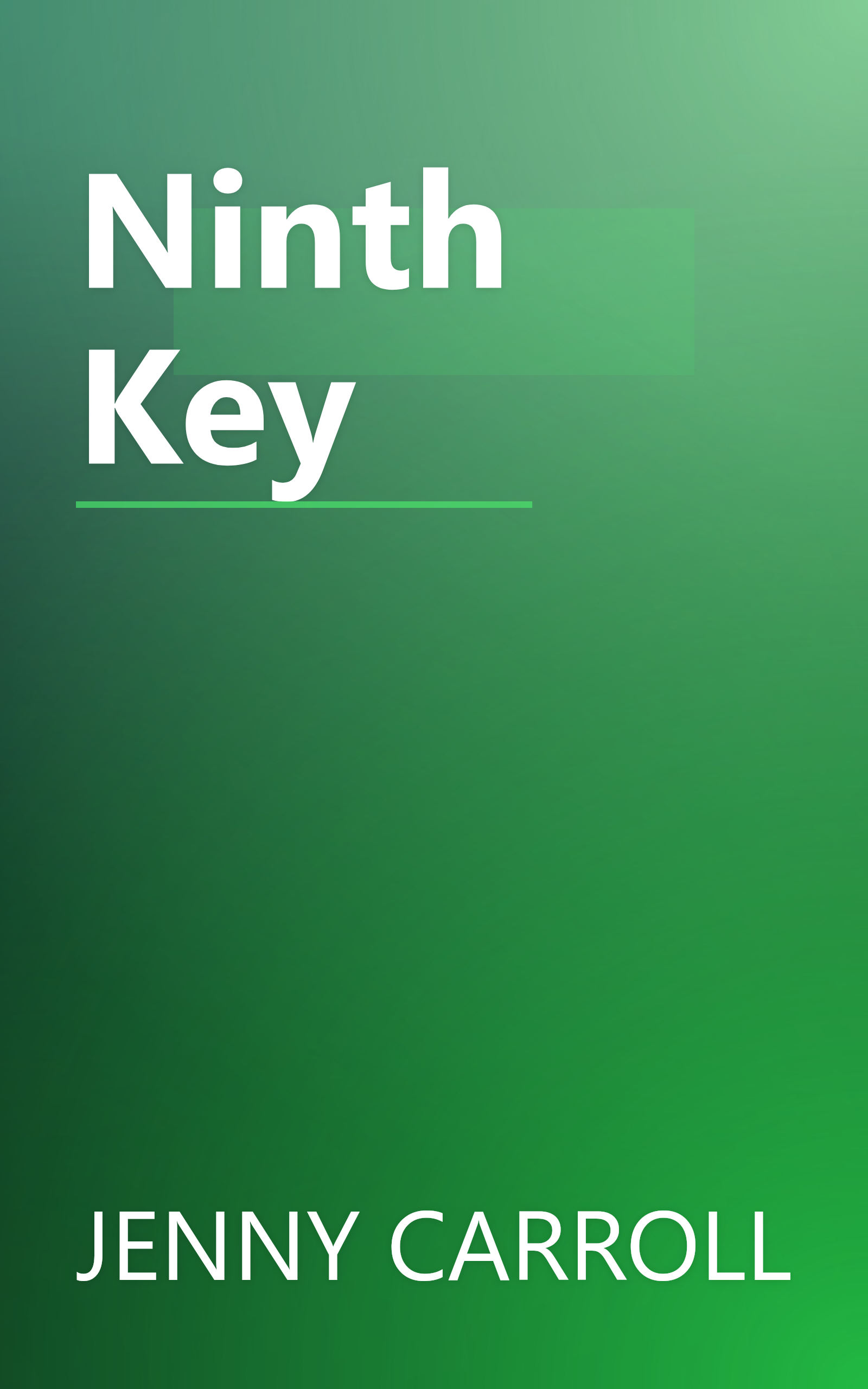 Ninth Key book cover