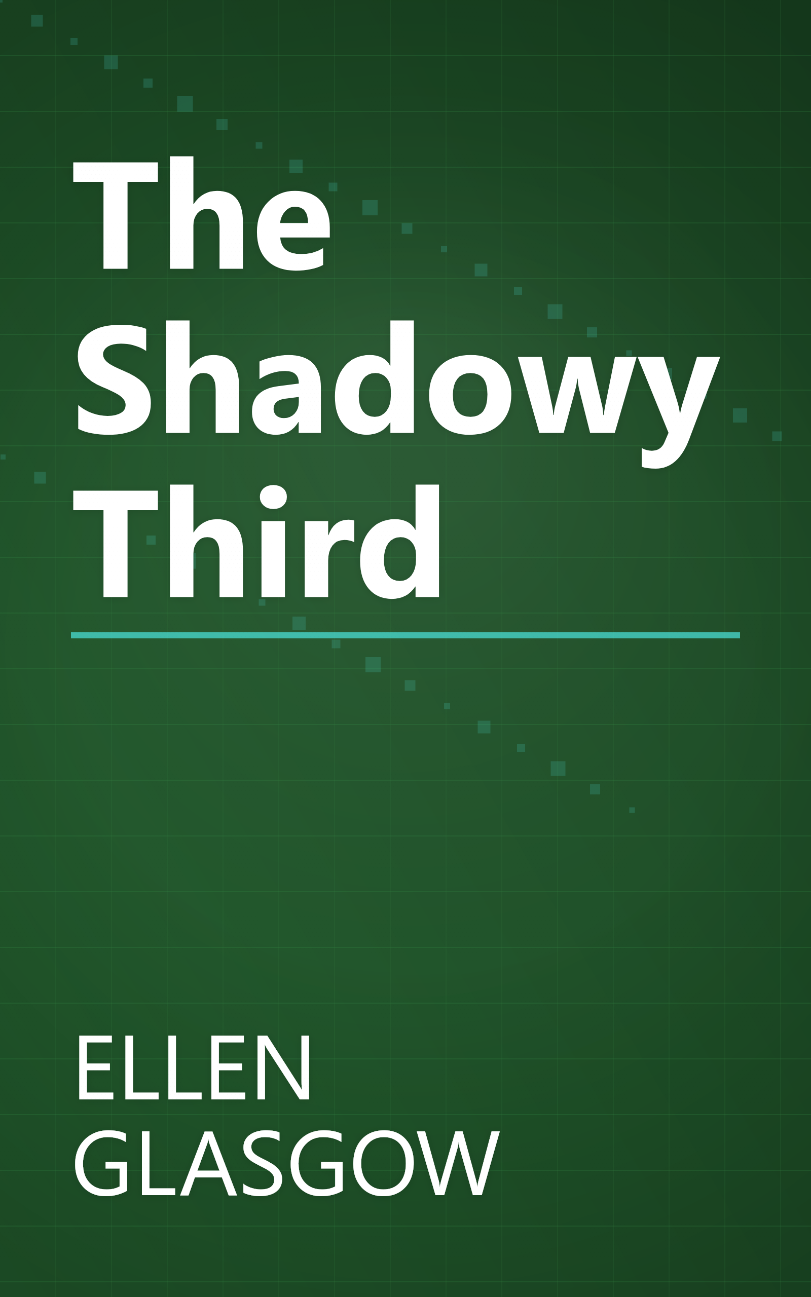The Shadowy Third book cover