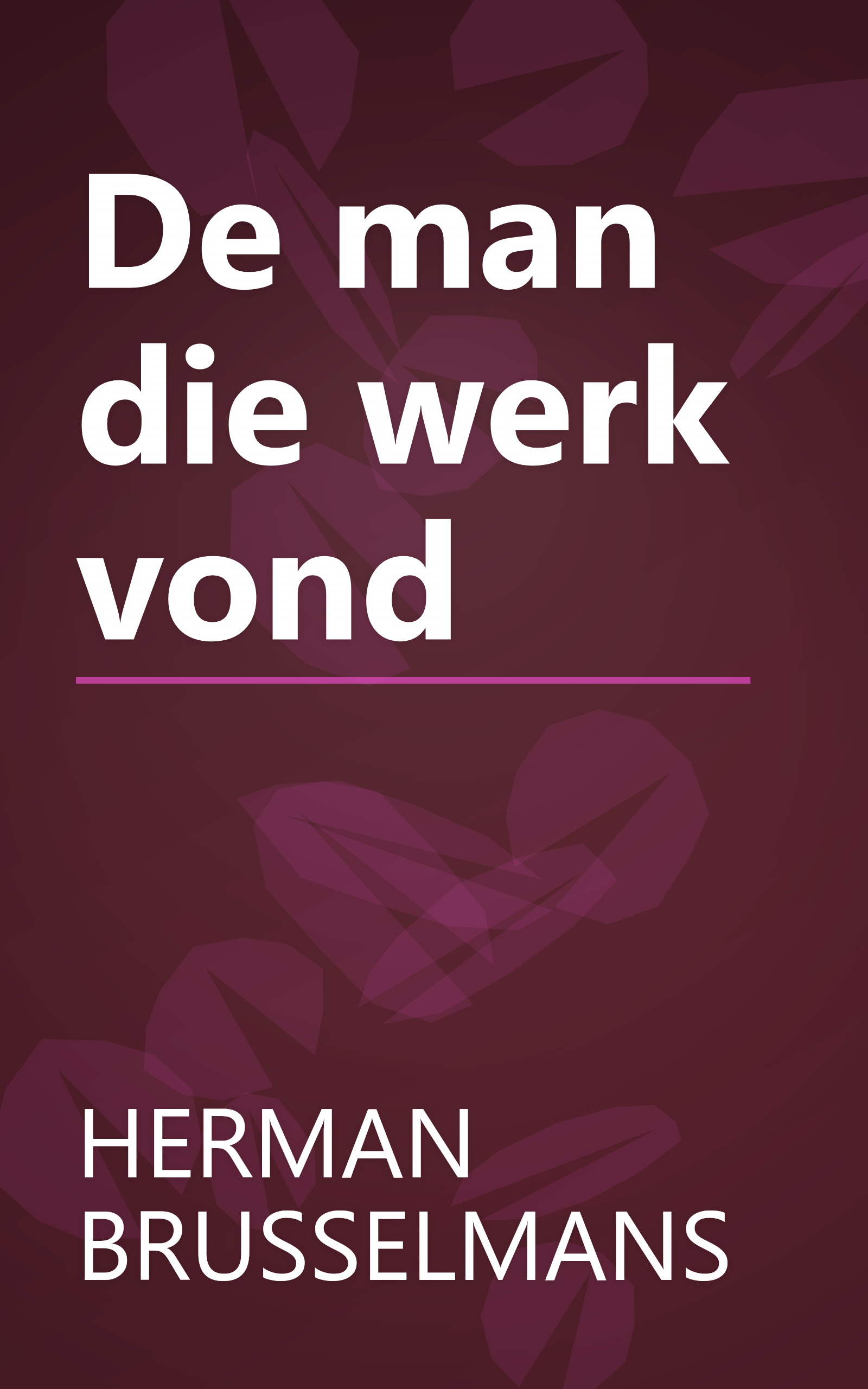 De man die werk vond book cover