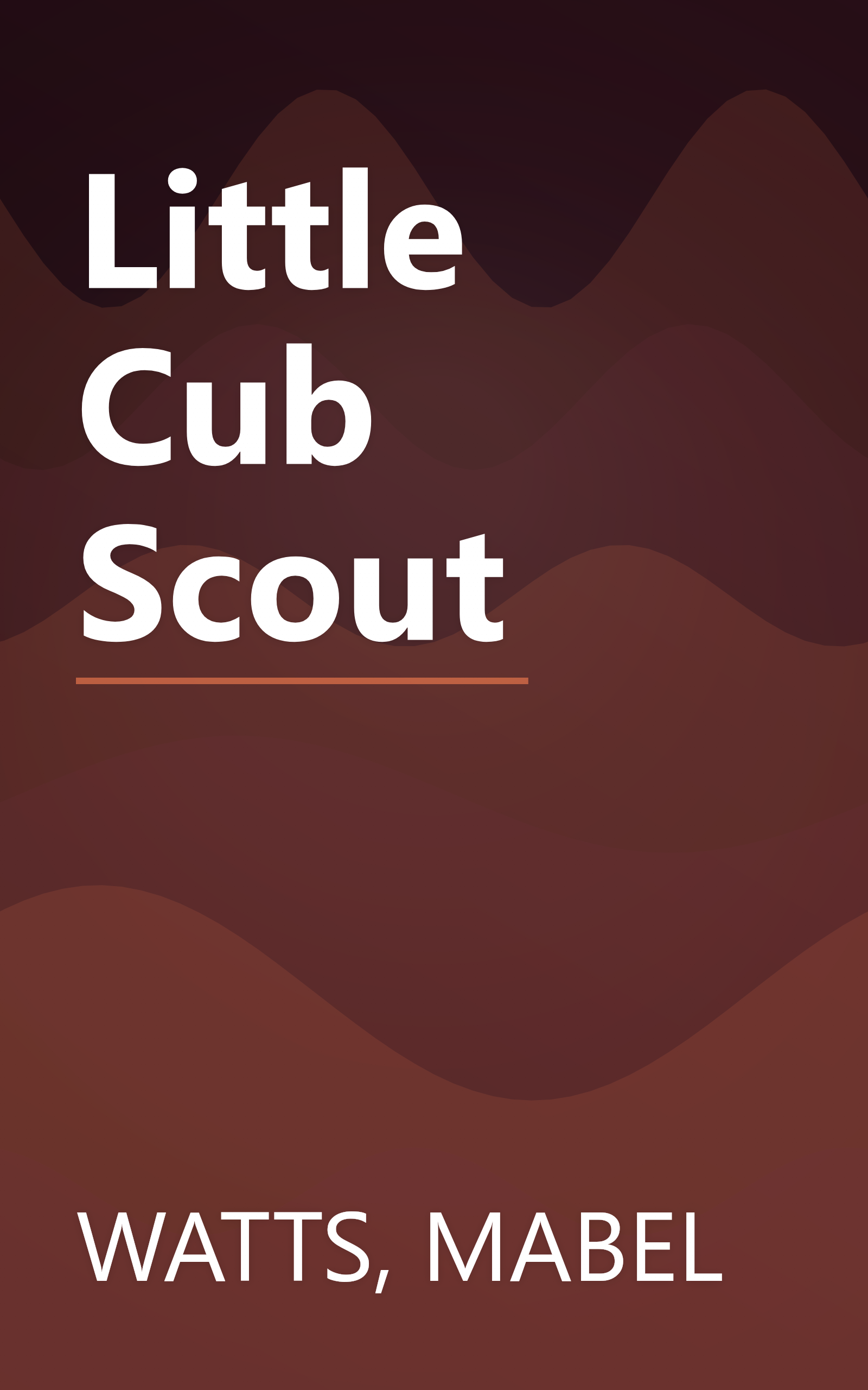 Little Cub Scout book cover