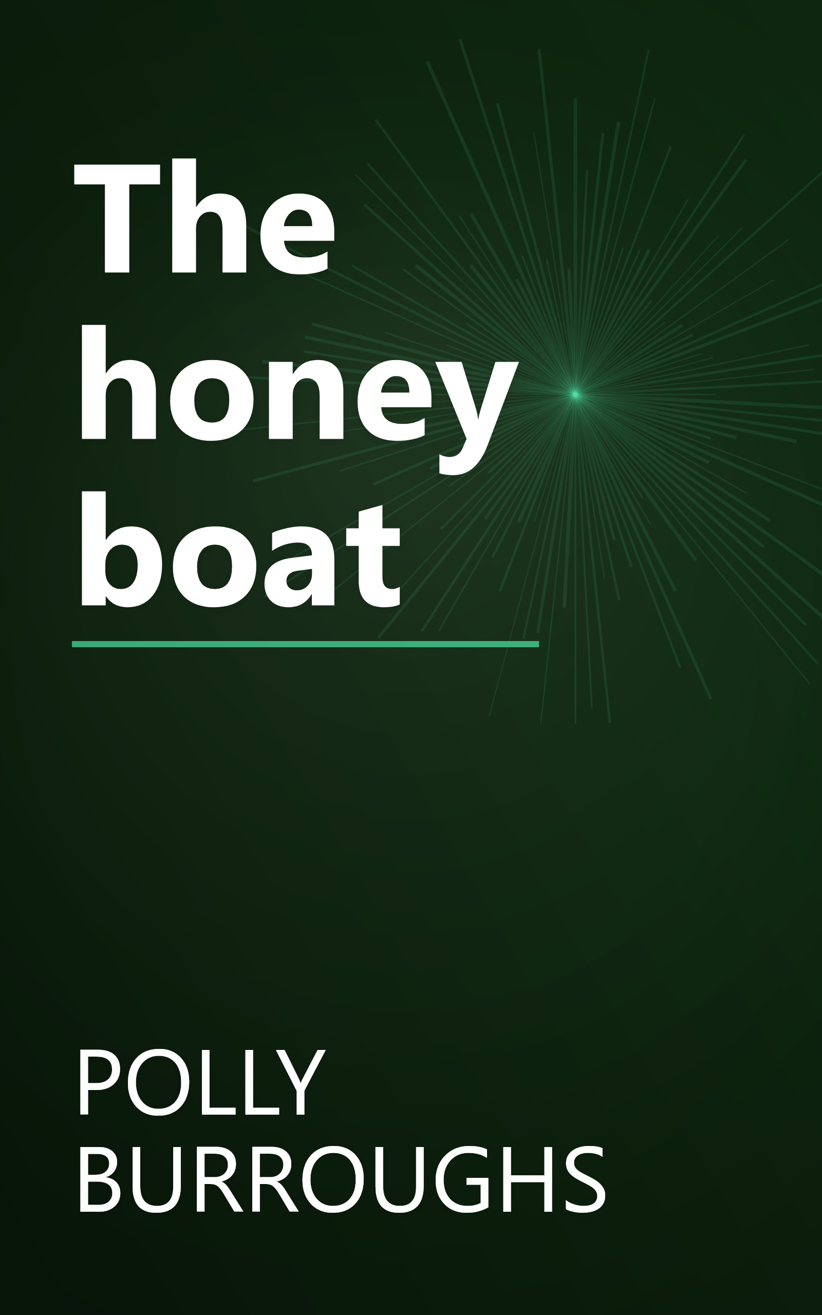 The honey boat book cover