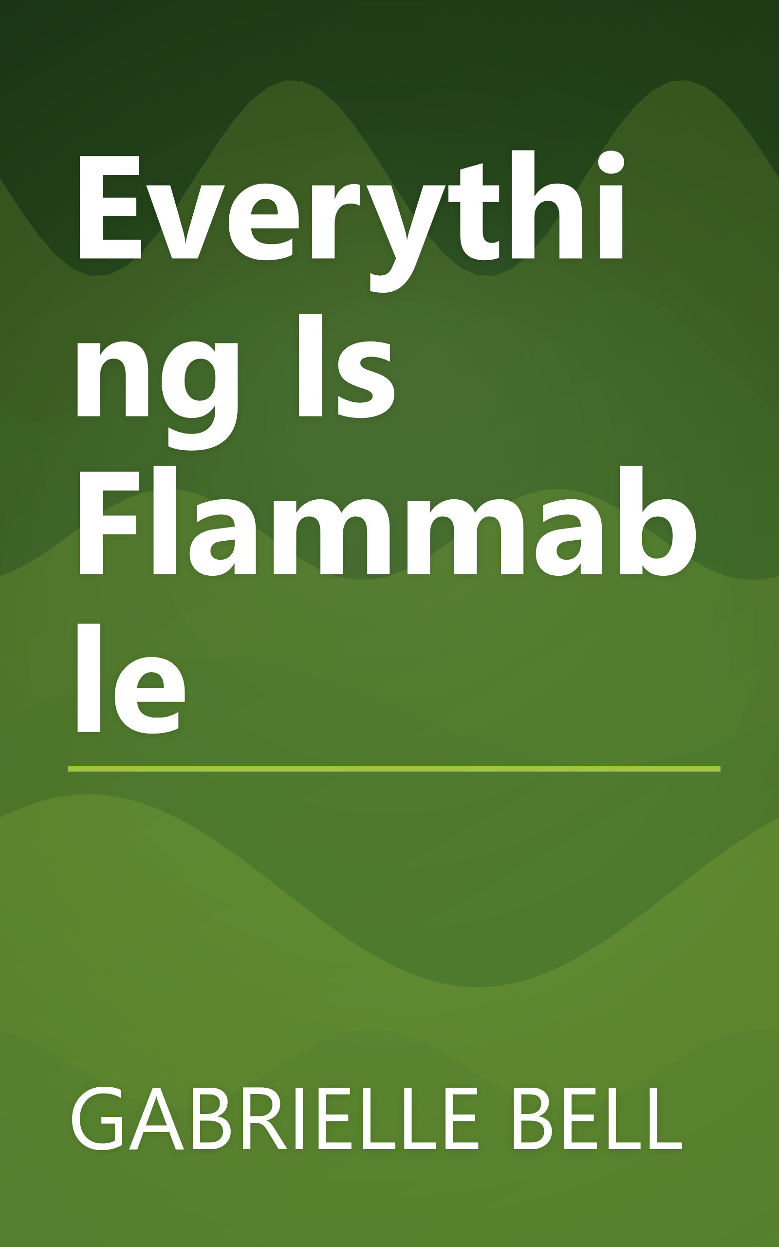 Everything Is Flammable book cover