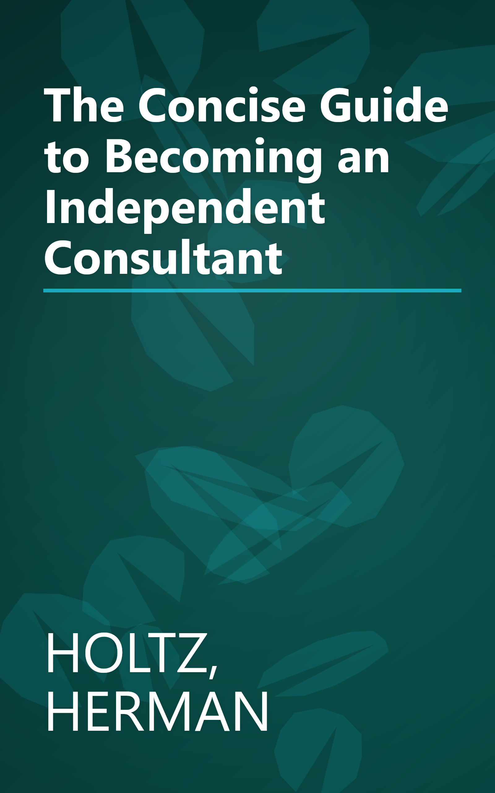 The Concise Guide to Becoming an Independent Consultant book cover