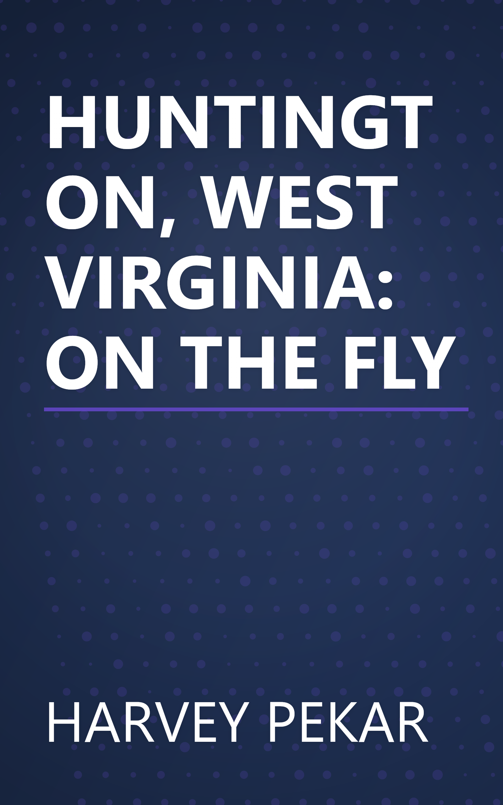 HUNTINGTON, WEST VIRGINIA: ON THE FLY book cover