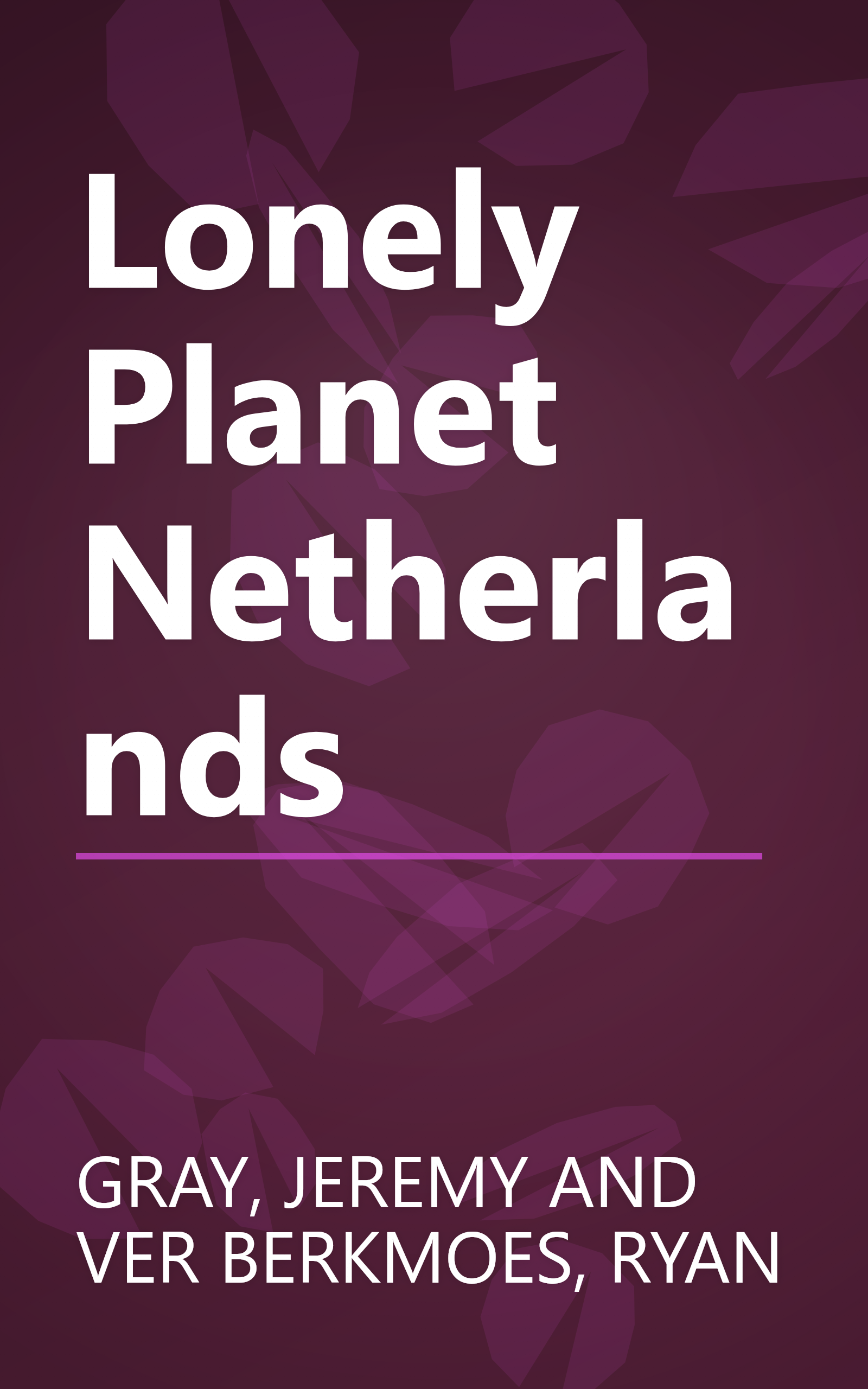 Lonely Planet Netherlands book cover