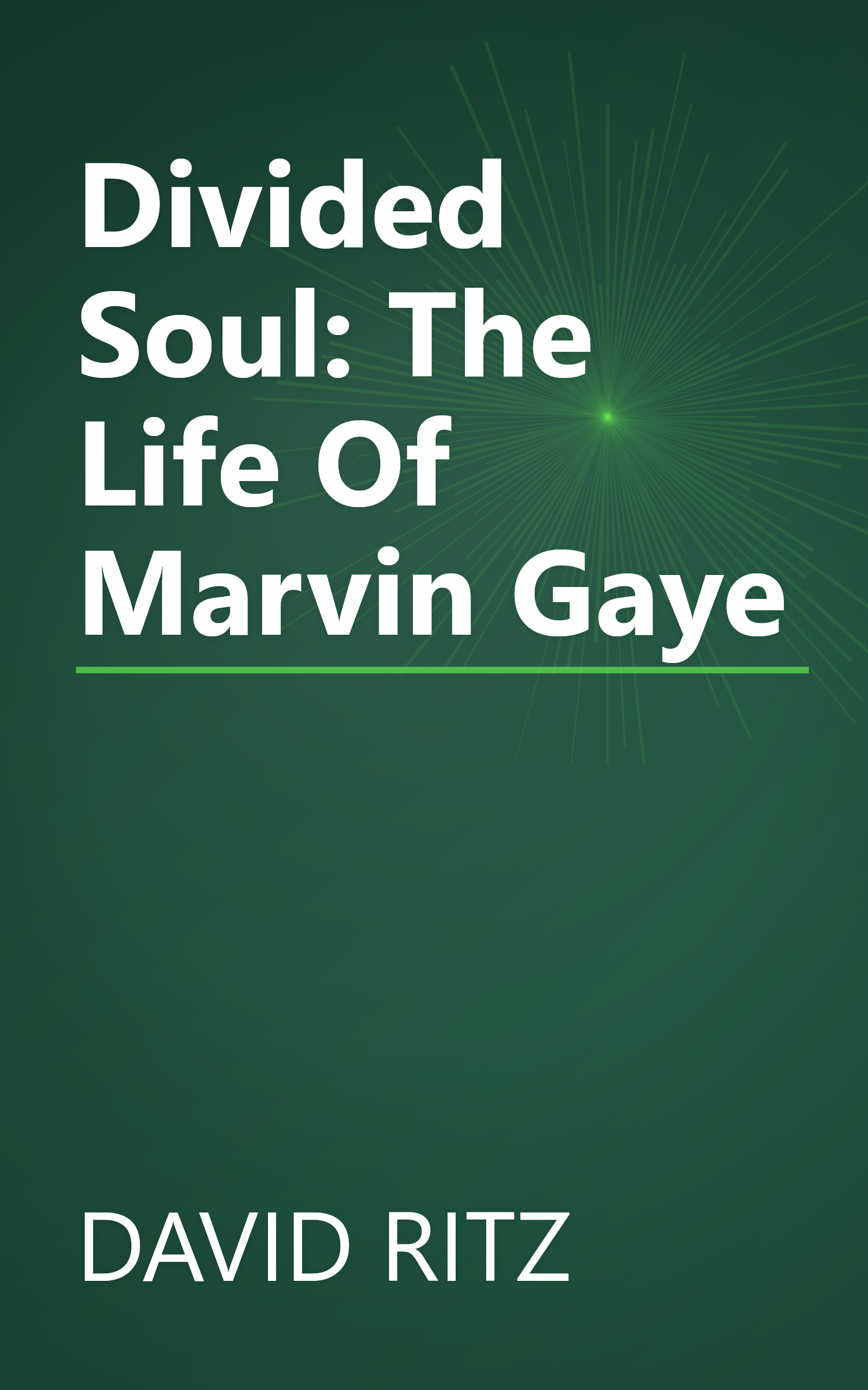 Divided Soul: The Life Of Marvin Gaye book cover