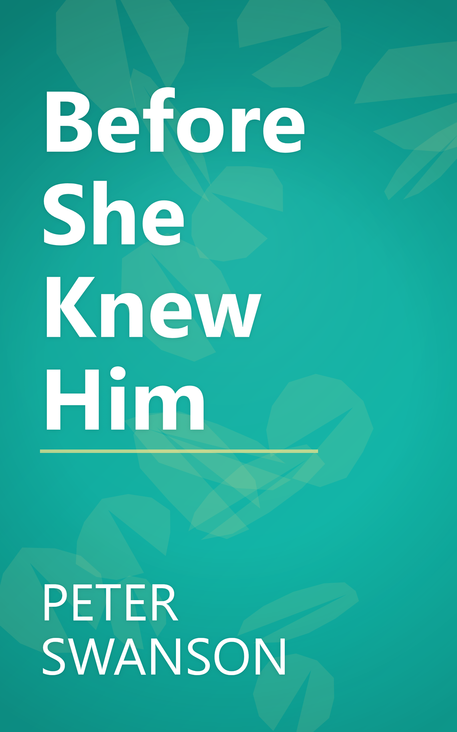 Before She Knew Him book cover