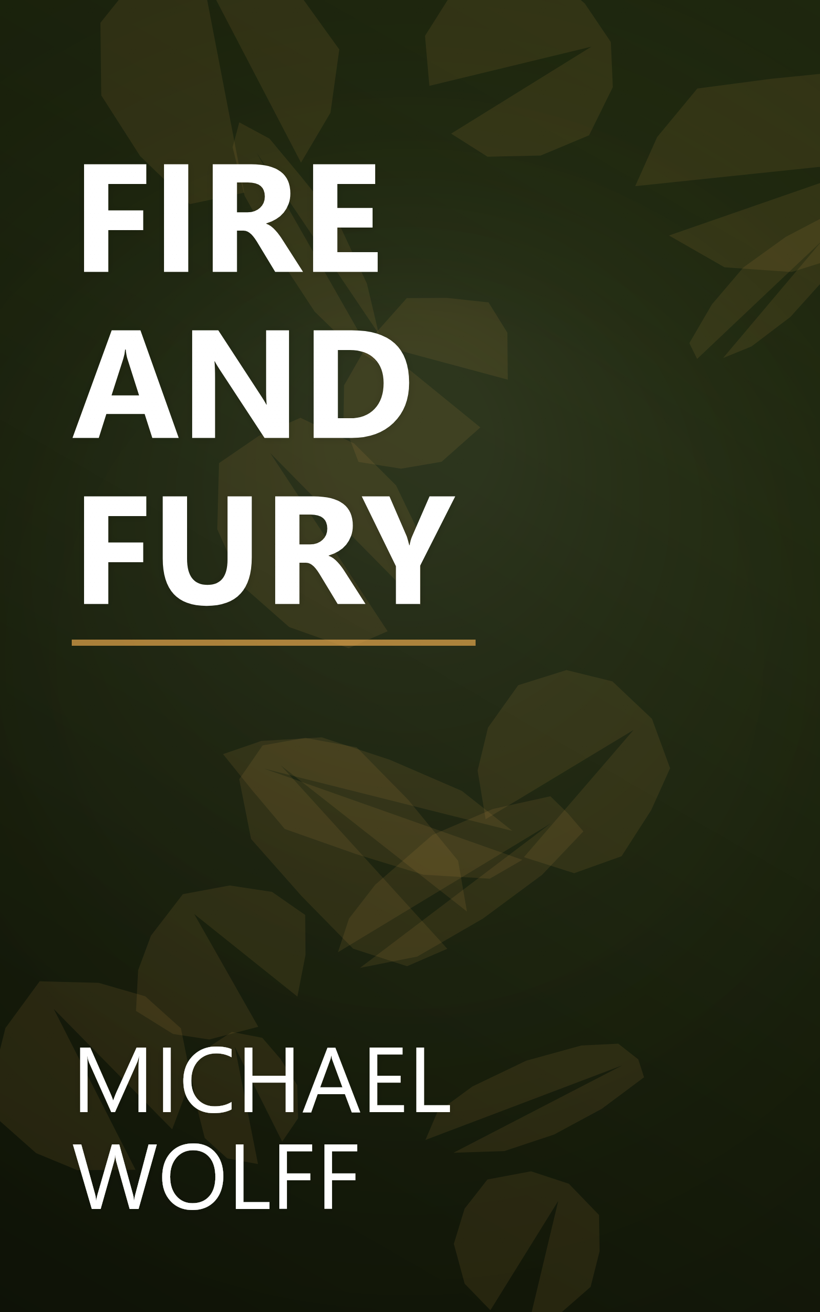 FIRE AND FURY book cover