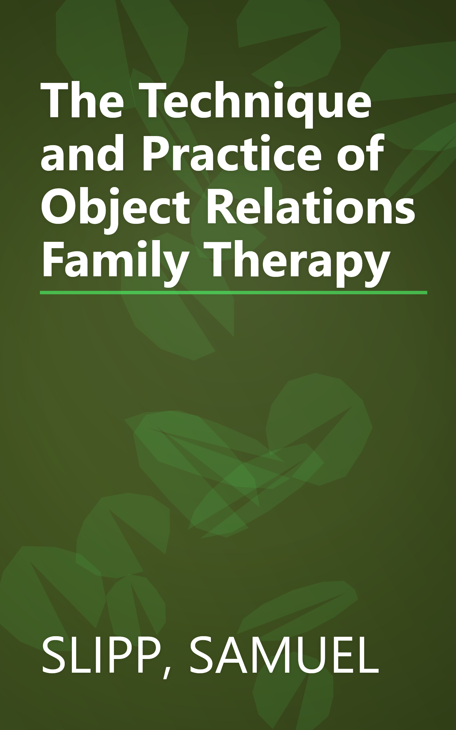 The Technique and Practice of Object Relations Family Therapy book cover