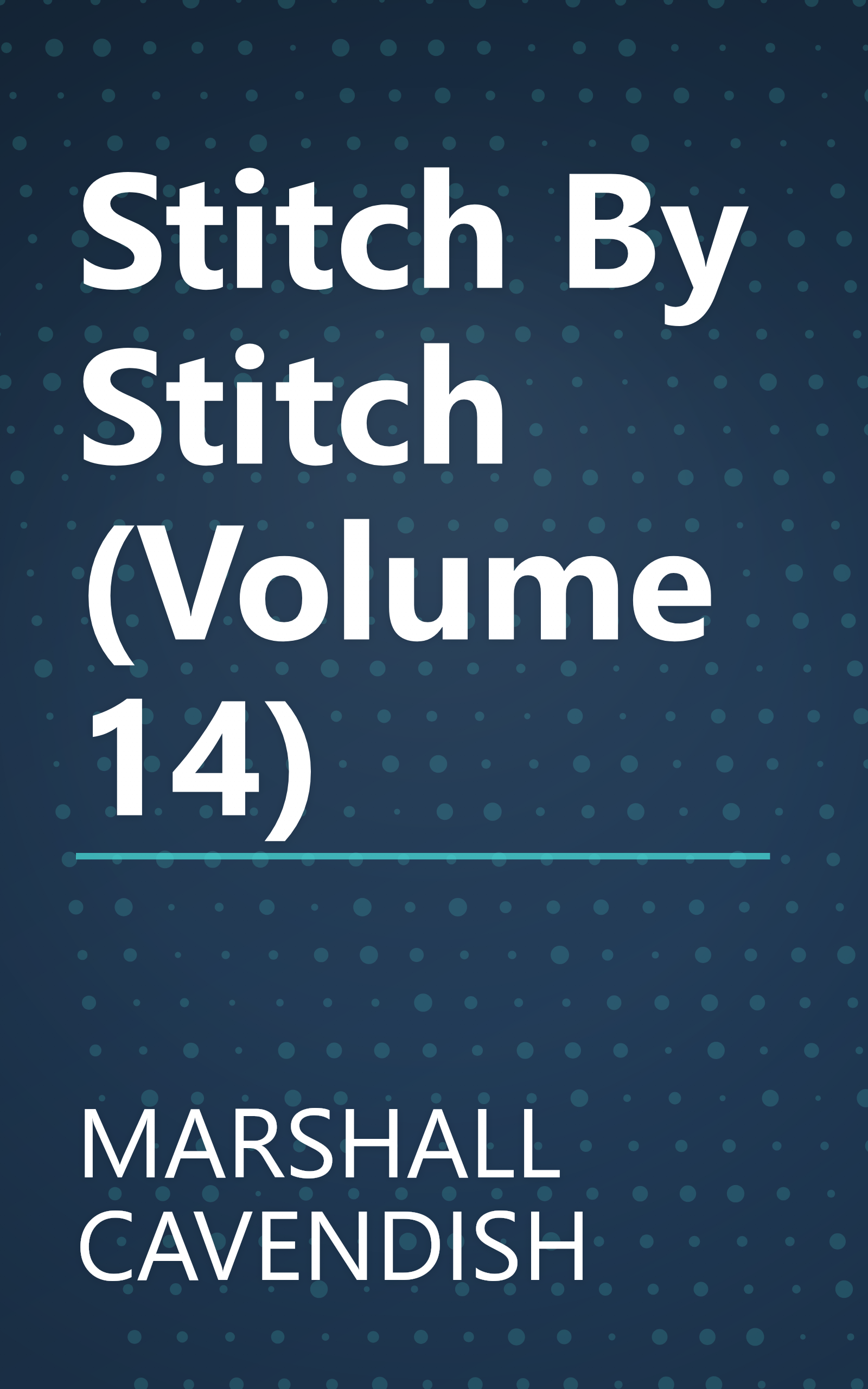 Stitch By Stitch (Volume 14) book cover
