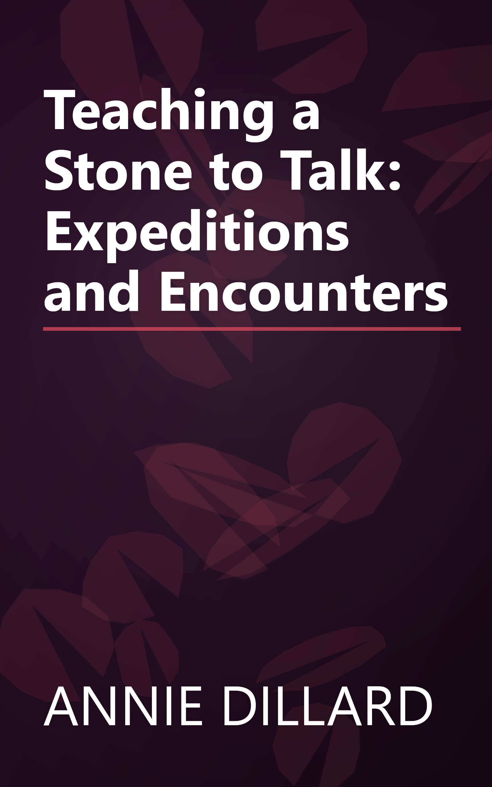 Teaching a Stone to Talk: Expeditions and Encounters book cover