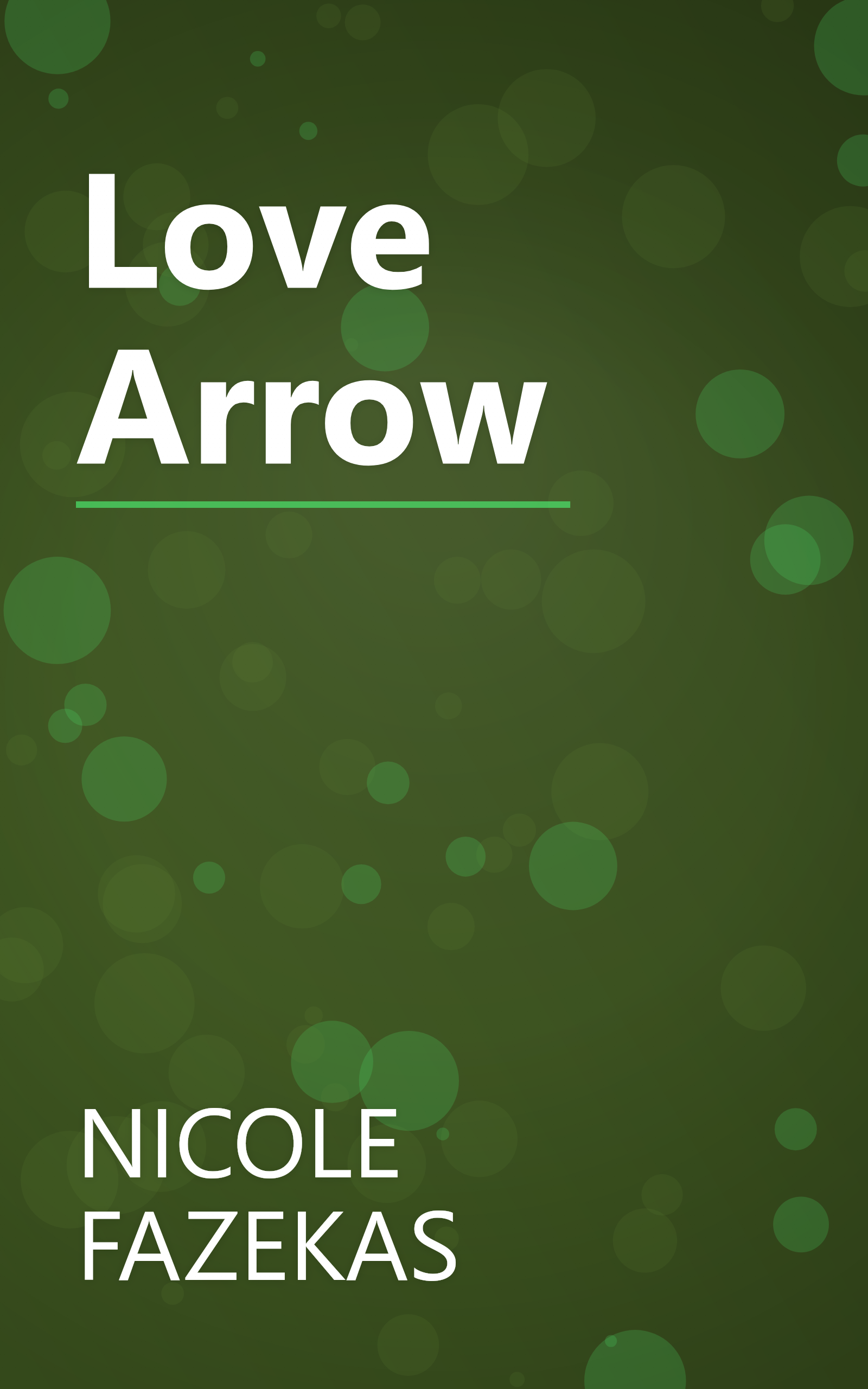 Love Arrow book cover