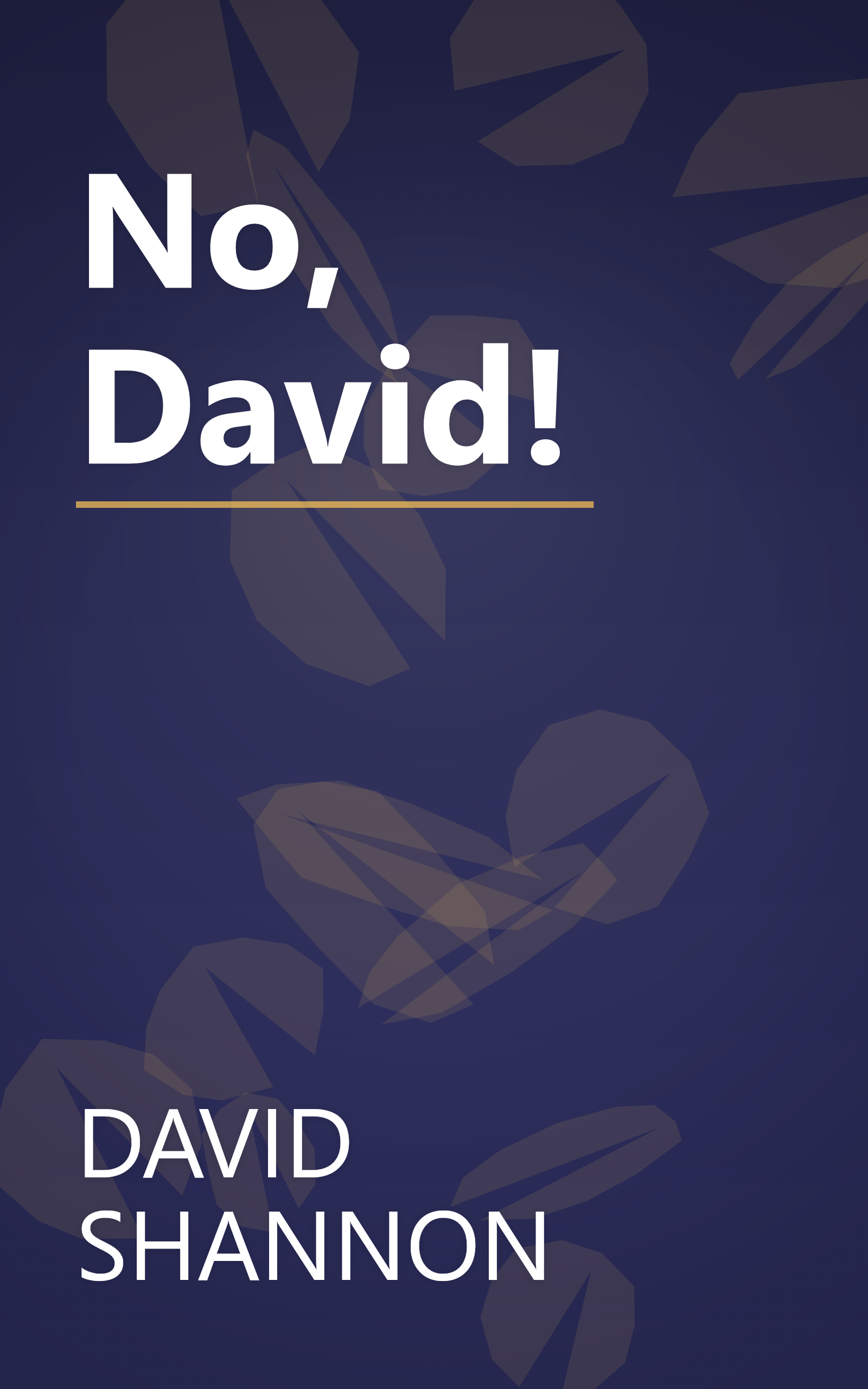 No, David! book cover