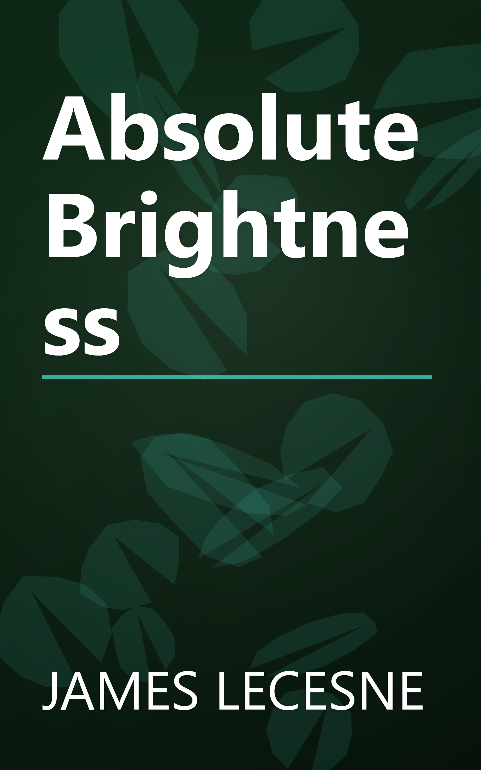 Absolute Brightness book cover