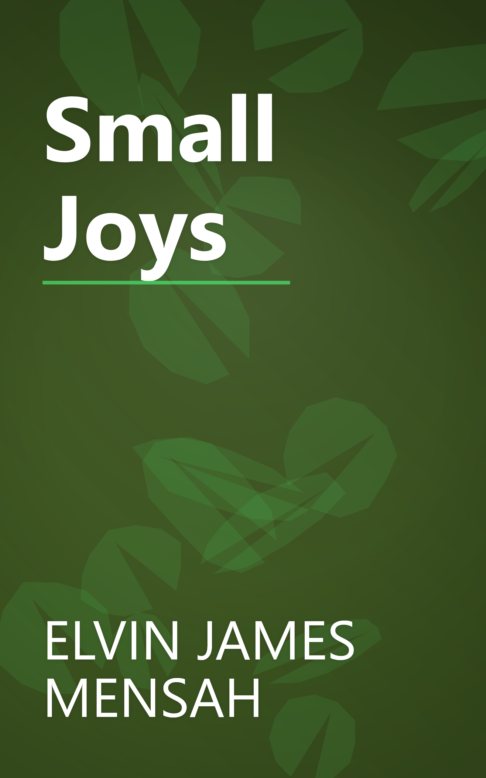 Small Joys book cover