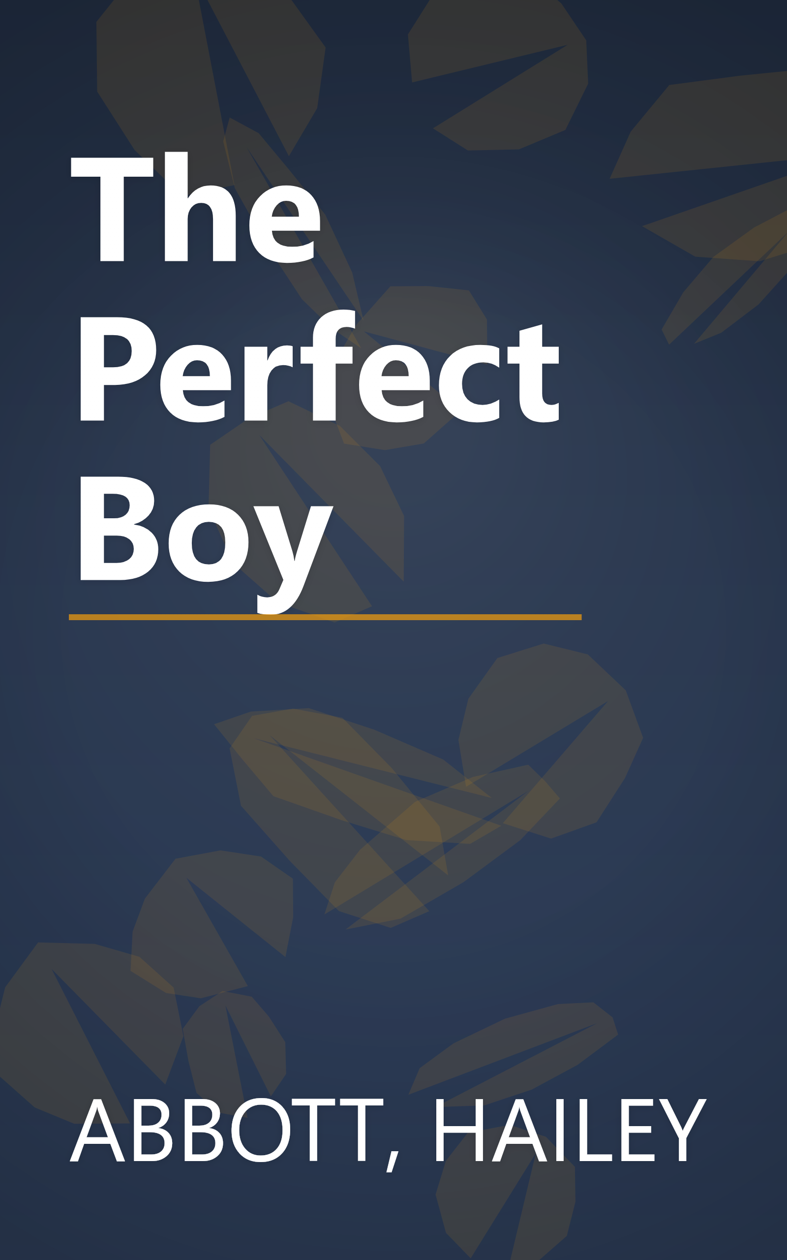 The Perfect Boy book cover