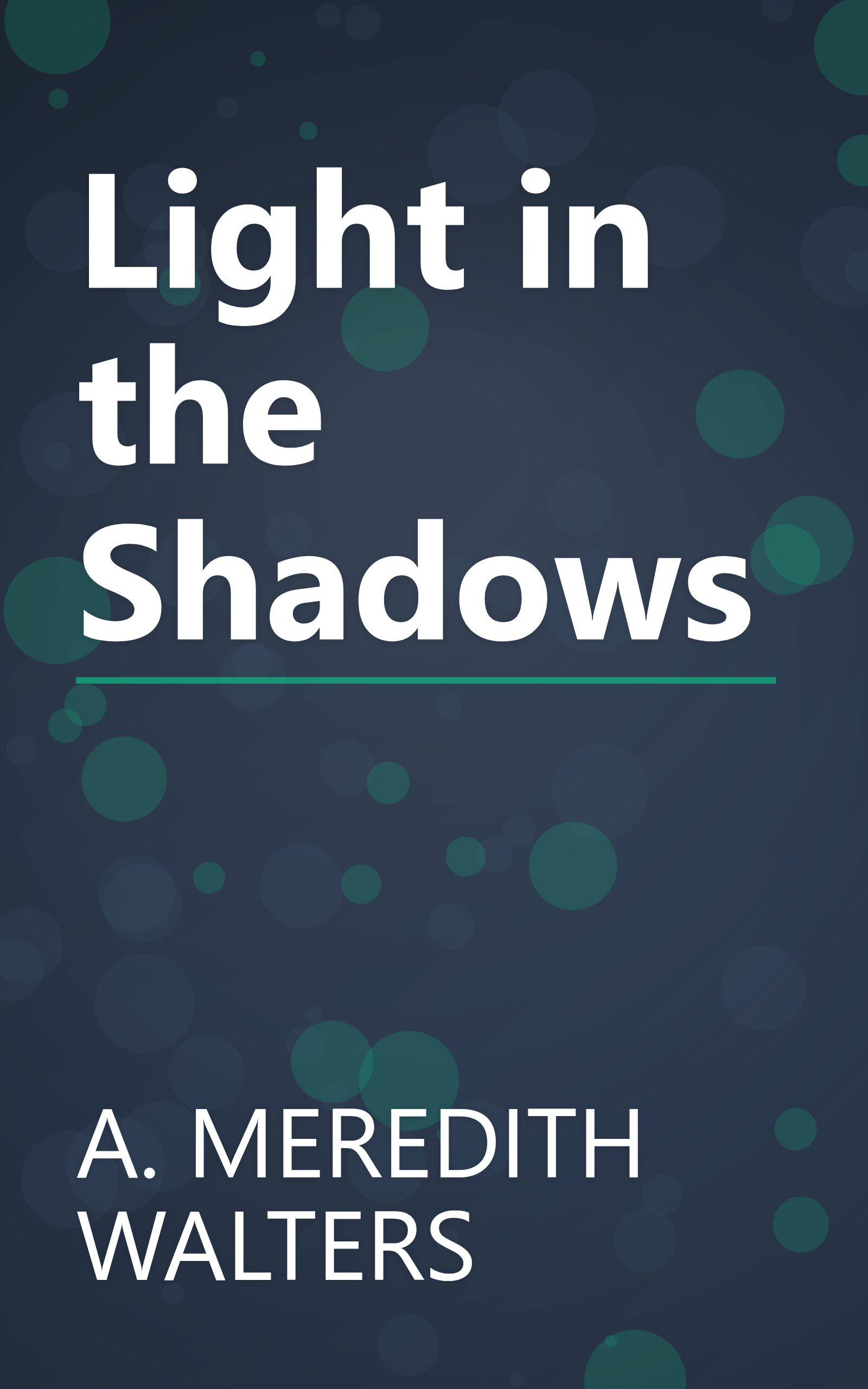Light in the Shadows book cover