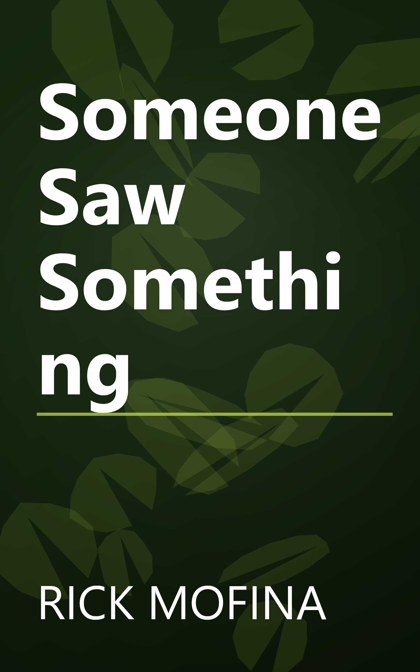 Someone Saw Something book cover