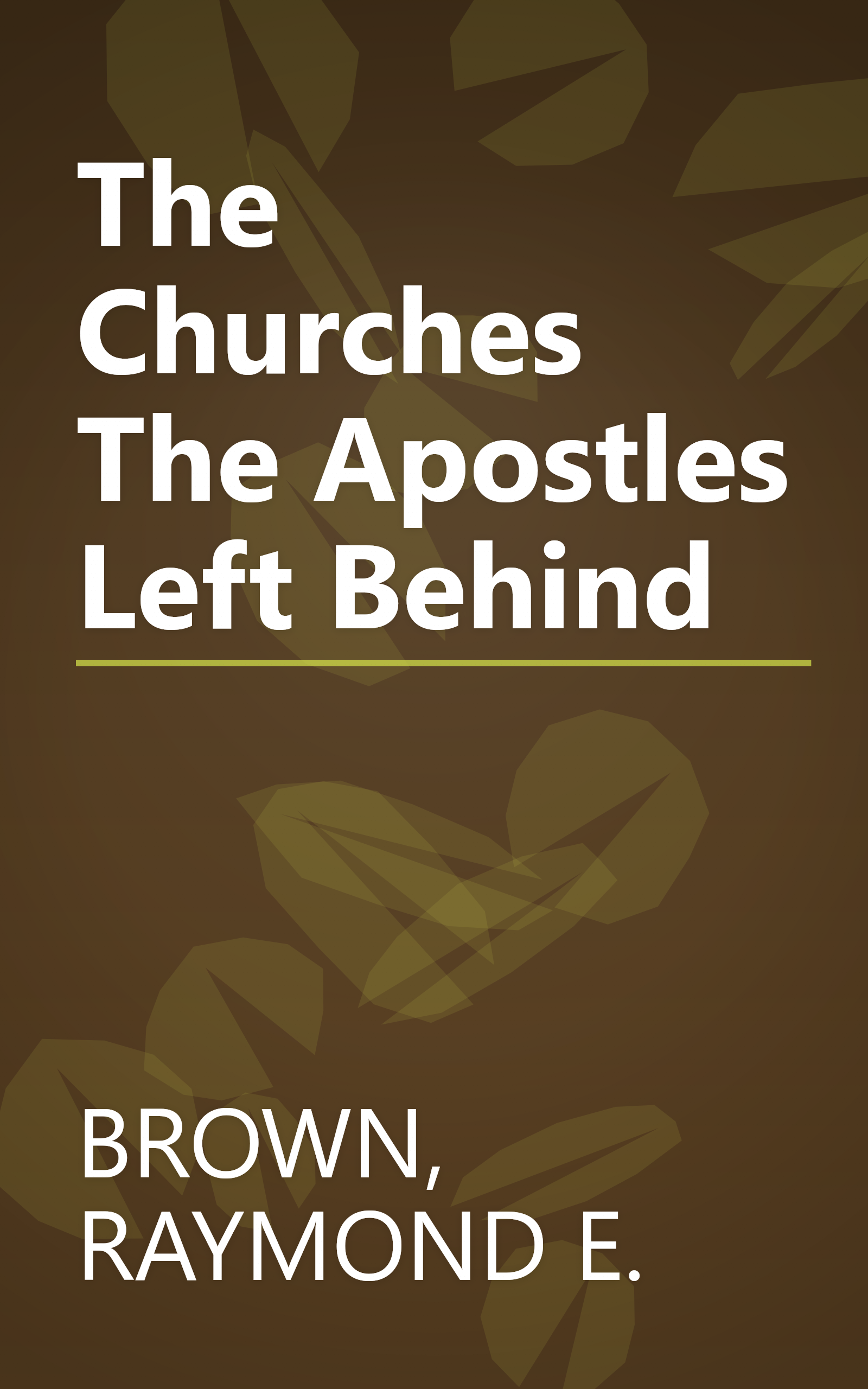 The Churches The Apostles Left Behind book cover