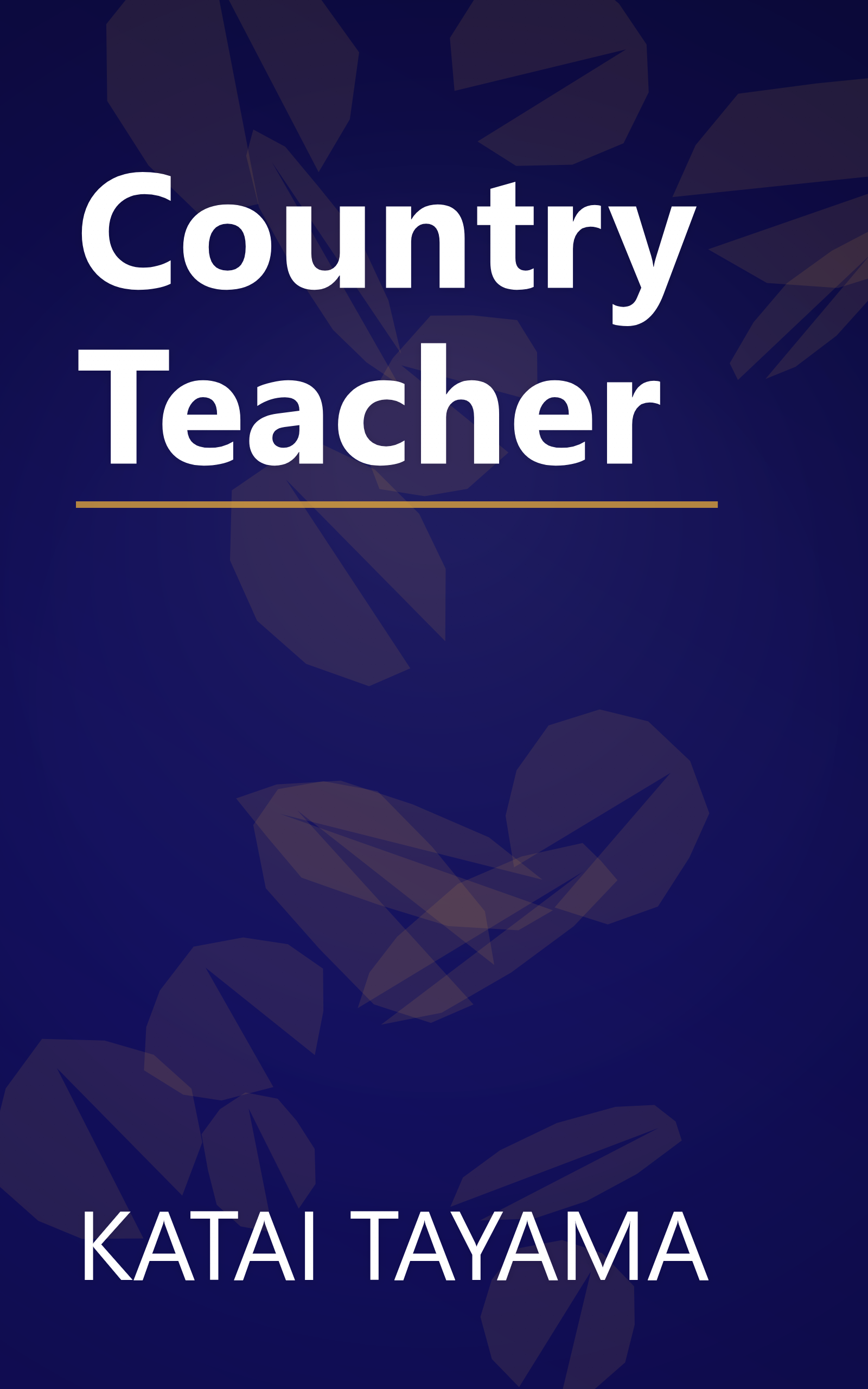 Country Teacher book cover