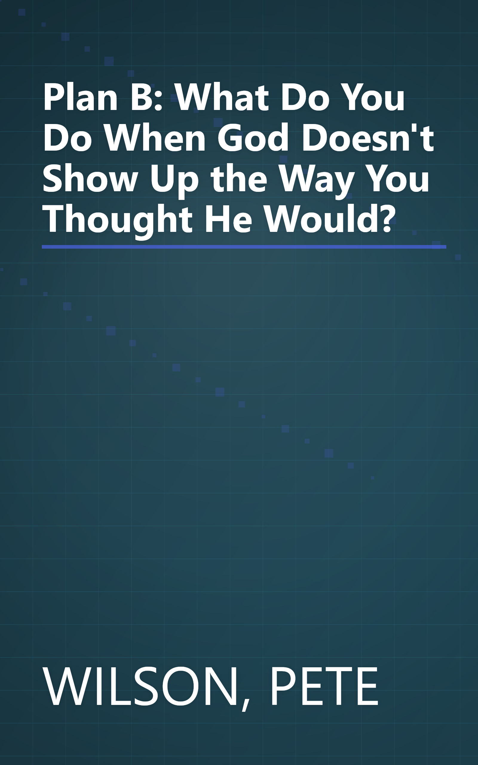 Plan B: What Do You Do When God Doesn't Show Up the Way You Thought He Would? book cover