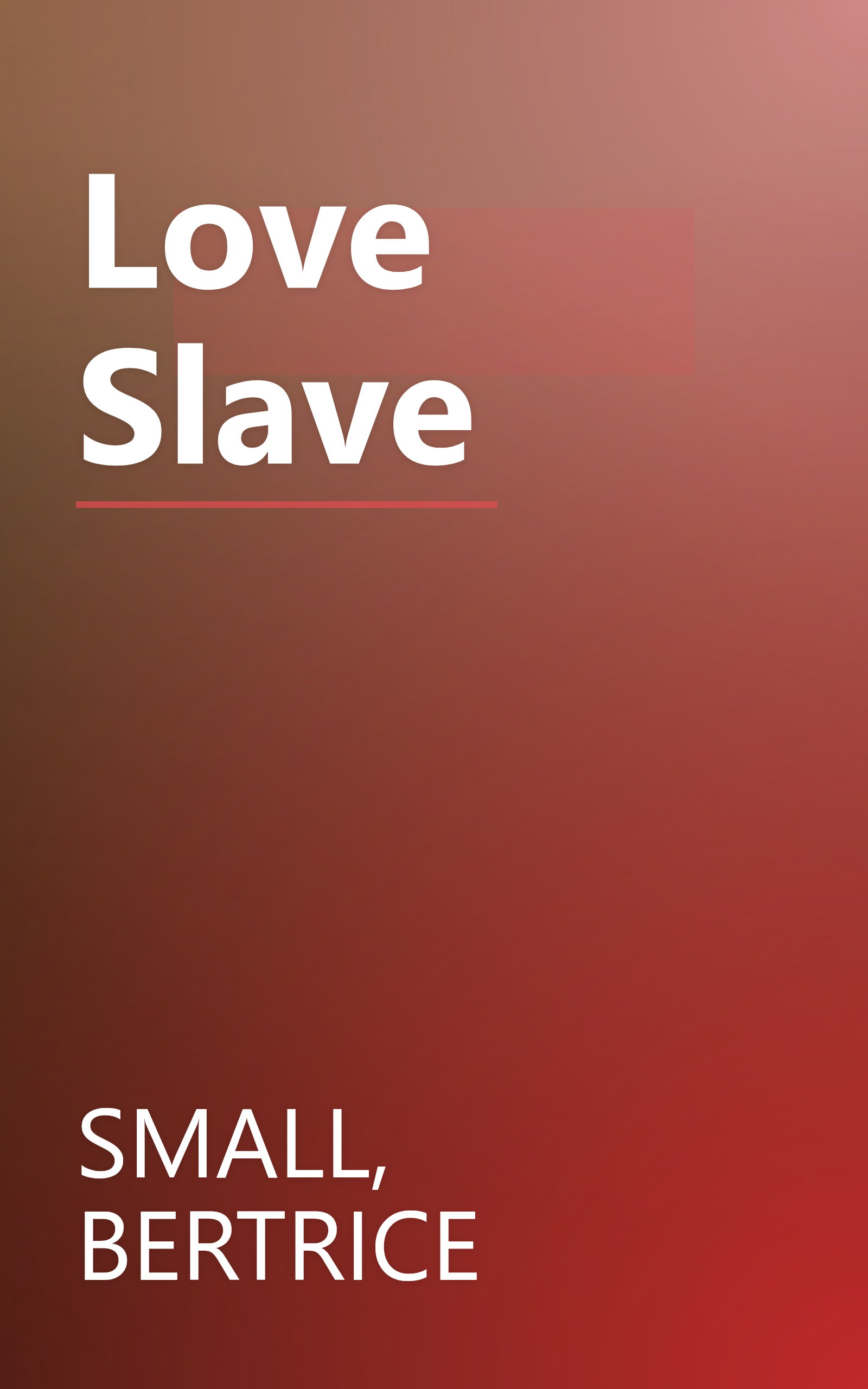 Love Slave book cover