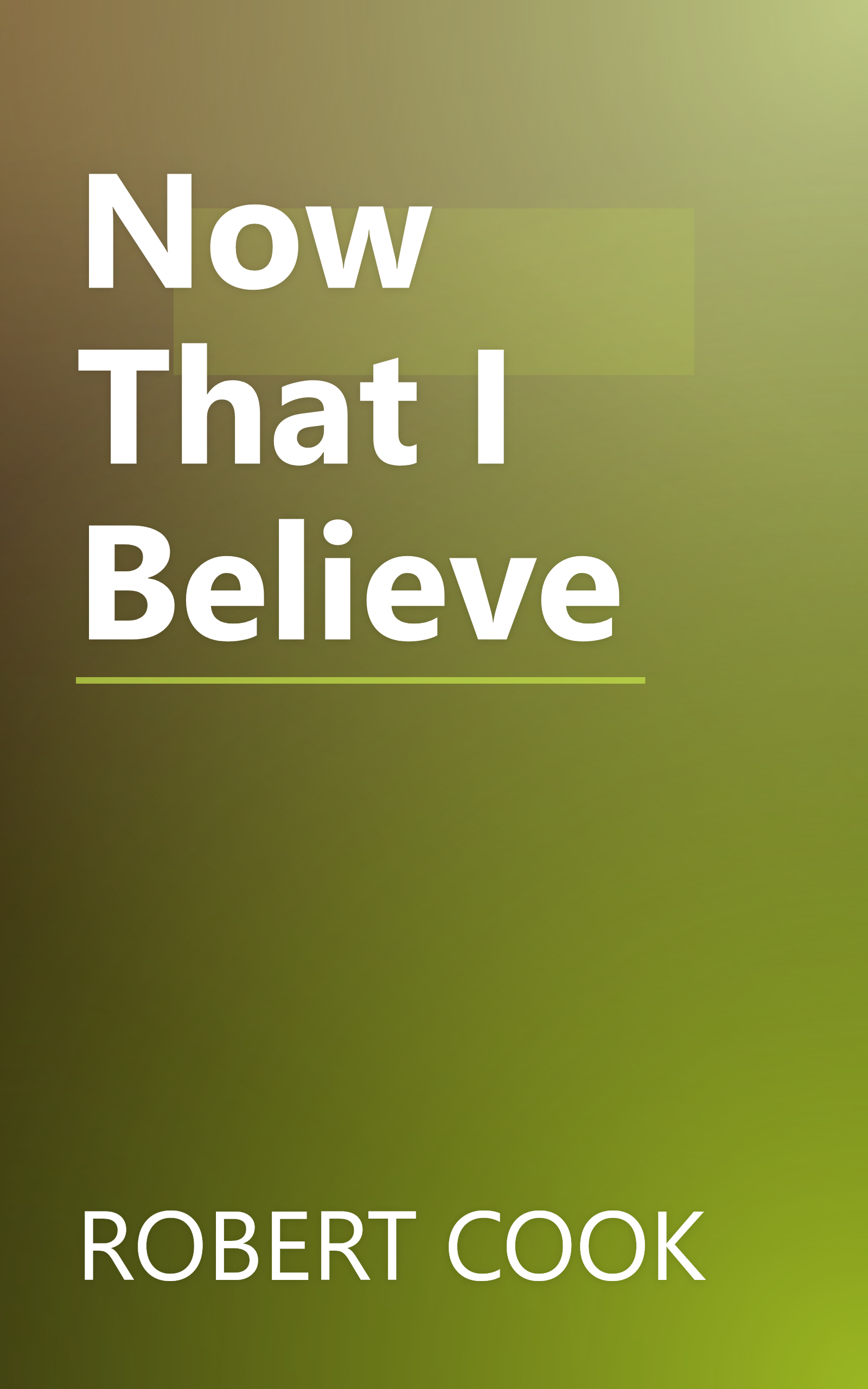 Now That I Believe book cover