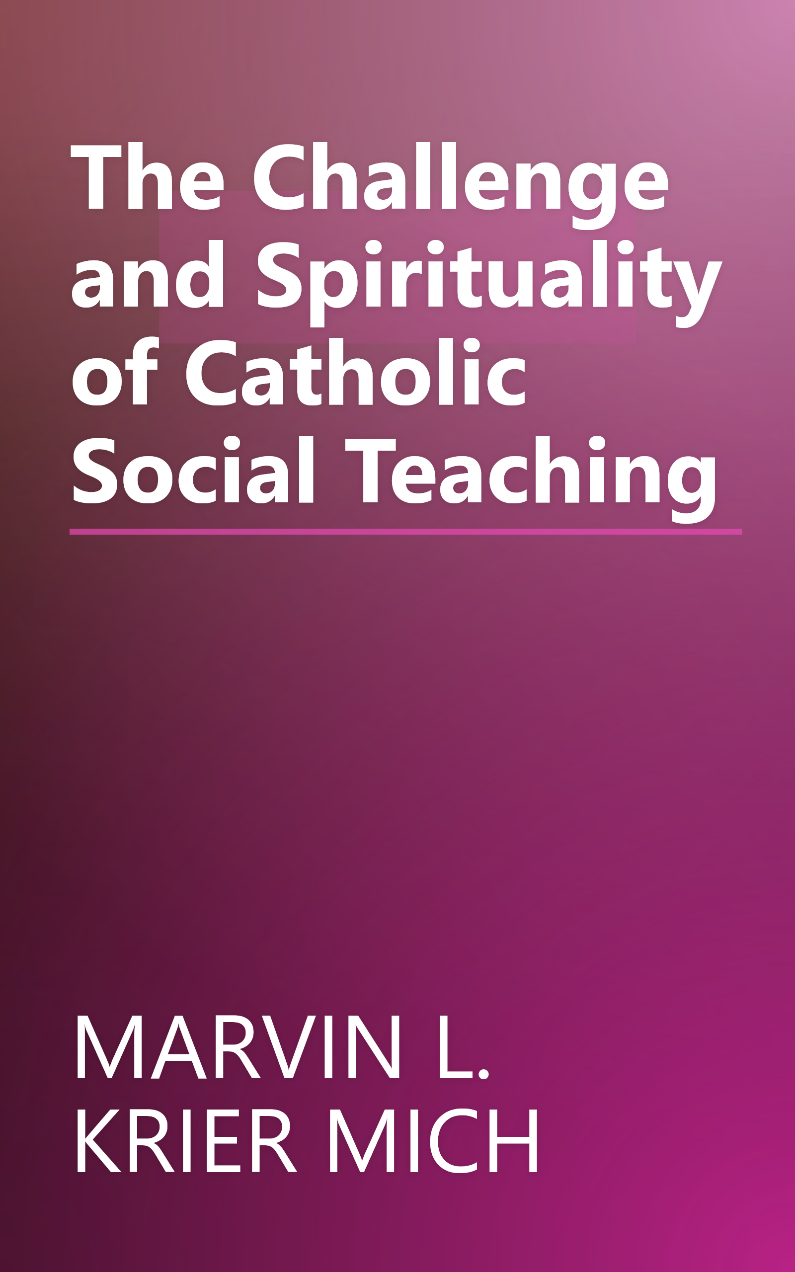 The Challenge and Spirituality of Catholic Social Teaching book cover