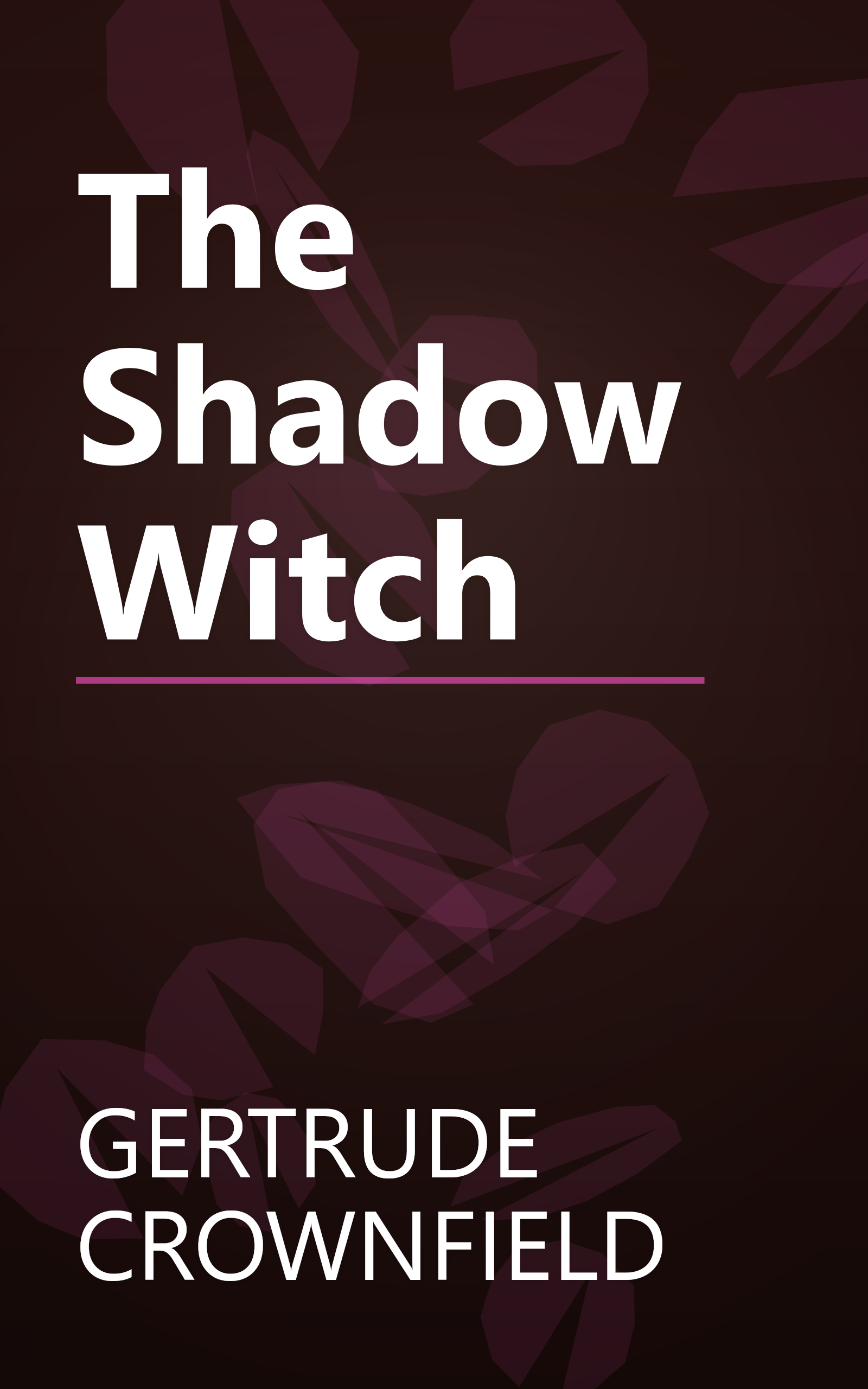 The Shadow Witch book cover