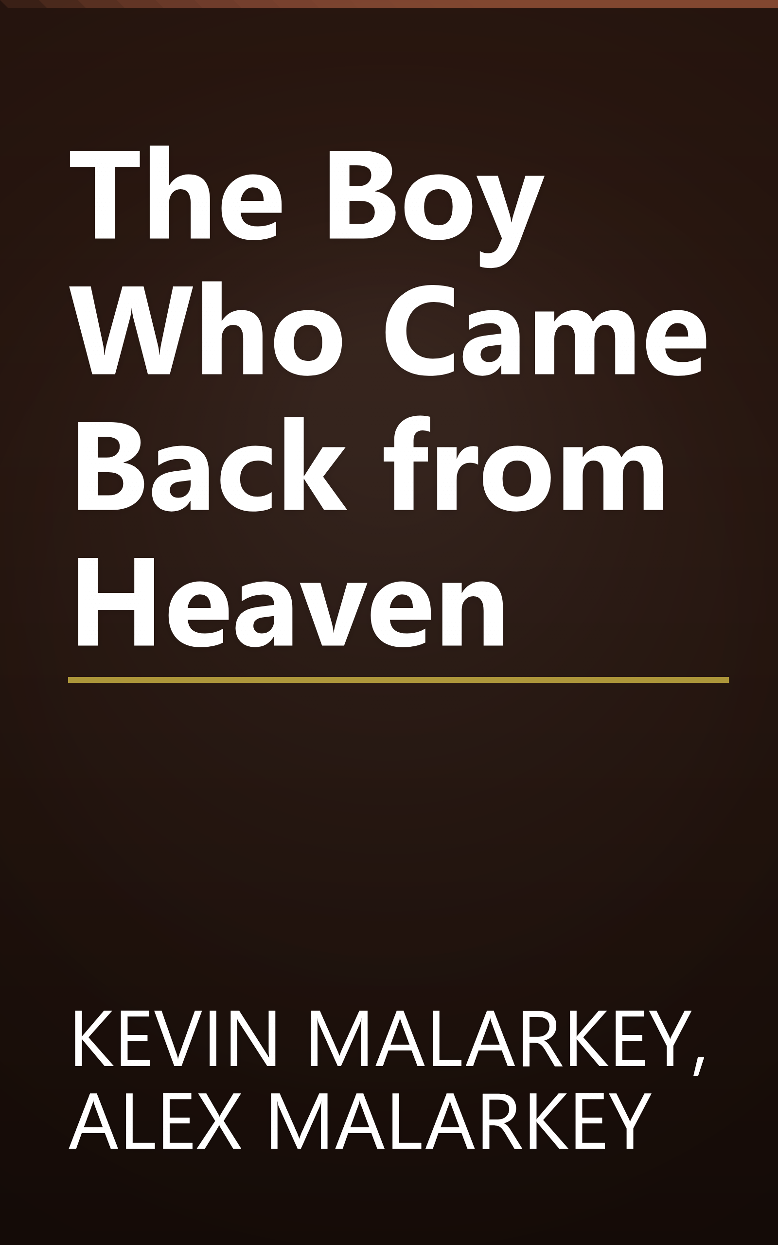 The Boy Who Came Back from Heaven book cover