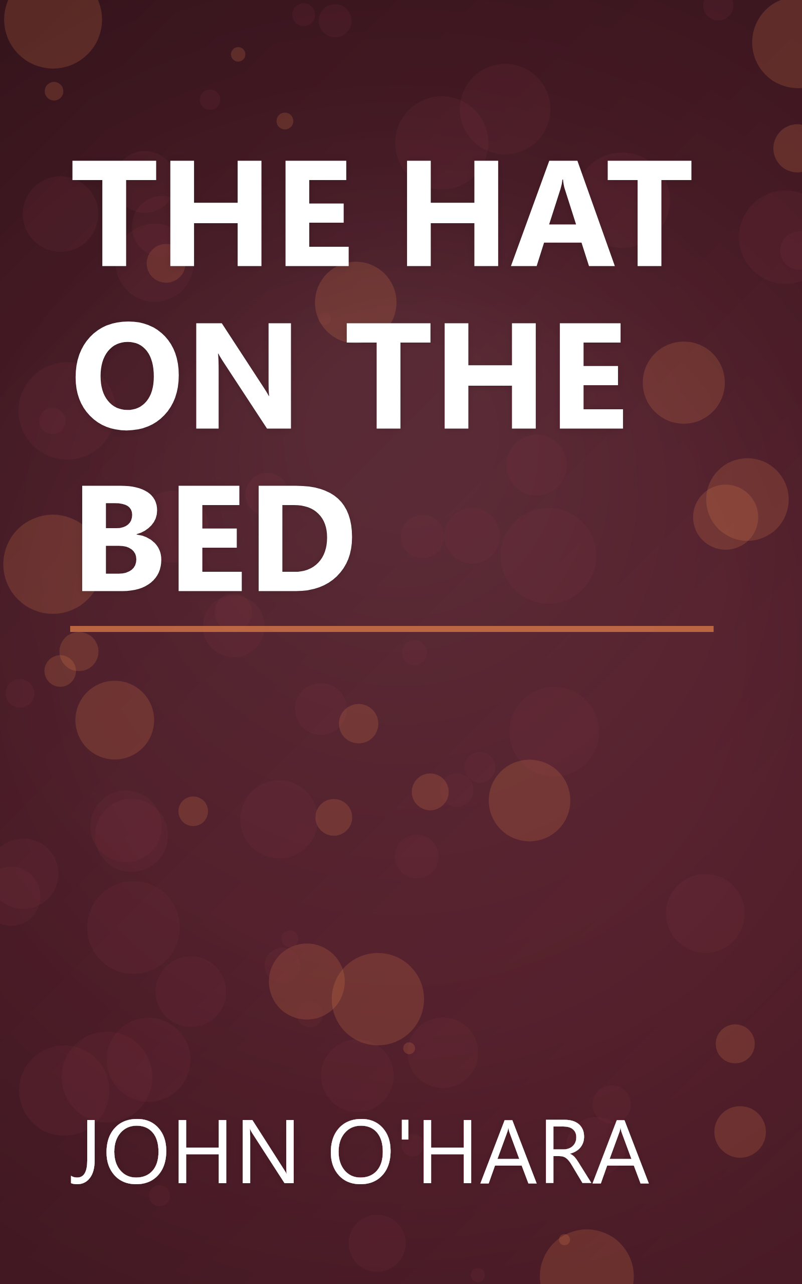 THE HAT ON THE BED book cover