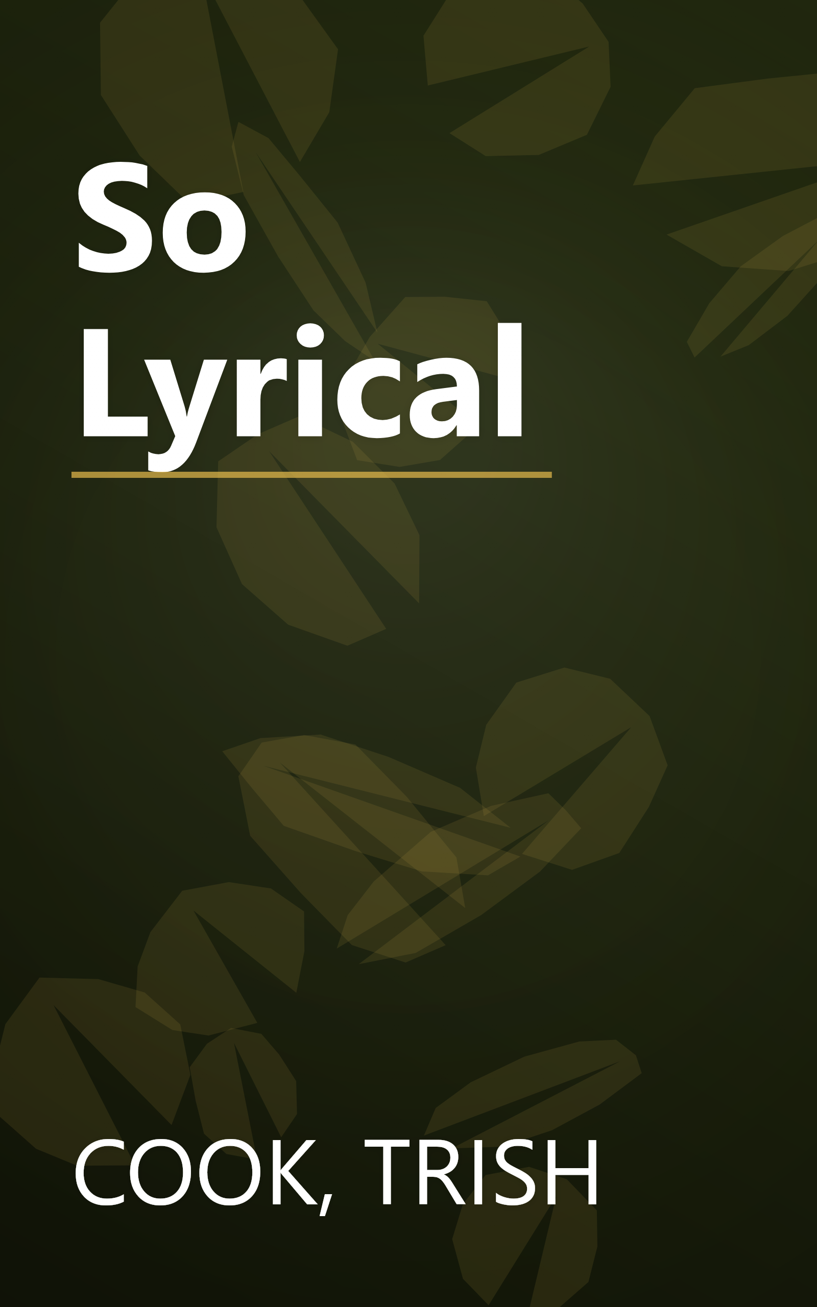 So Lyrical book cover