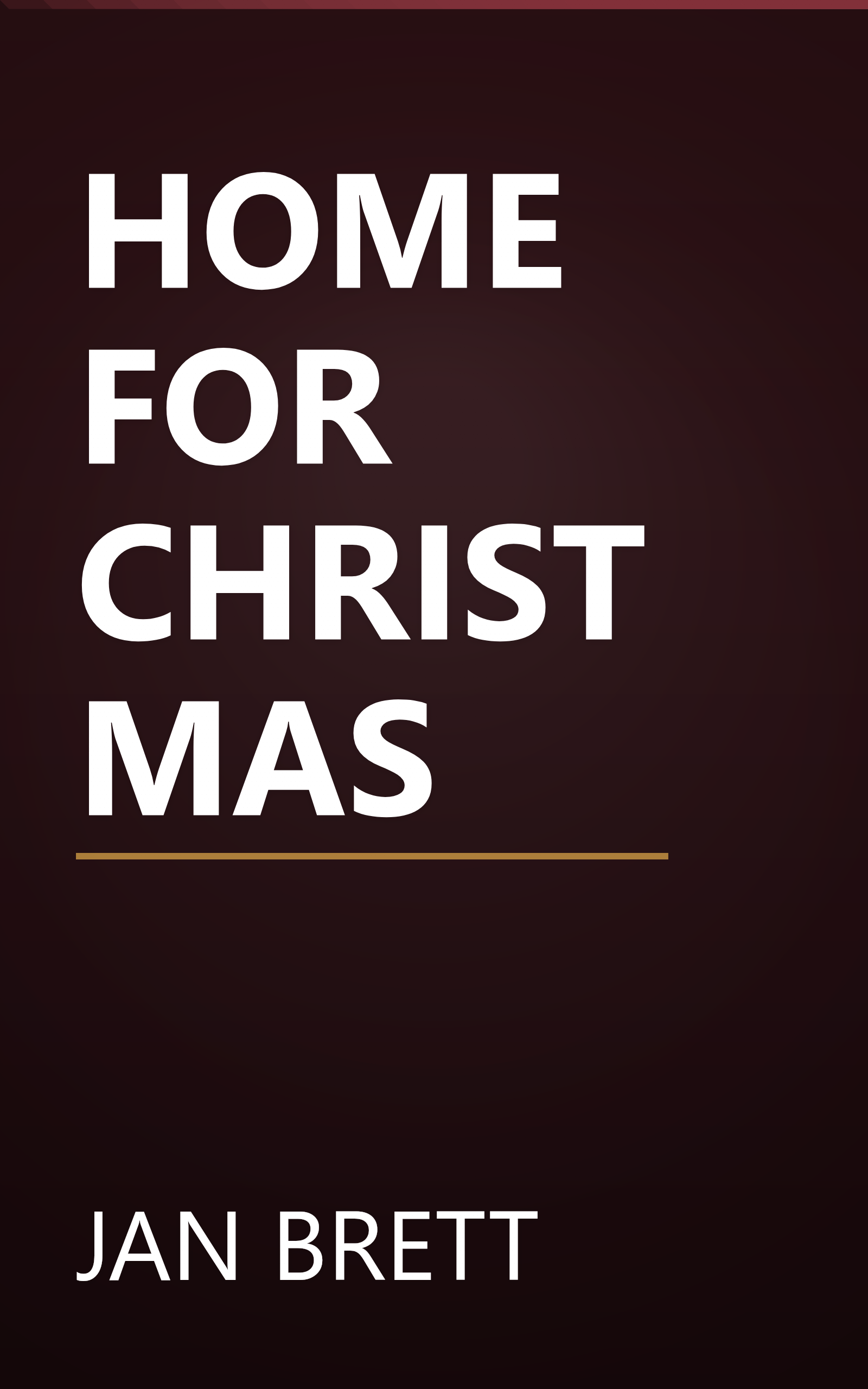 HOME FOR CHRISTMAS book cover