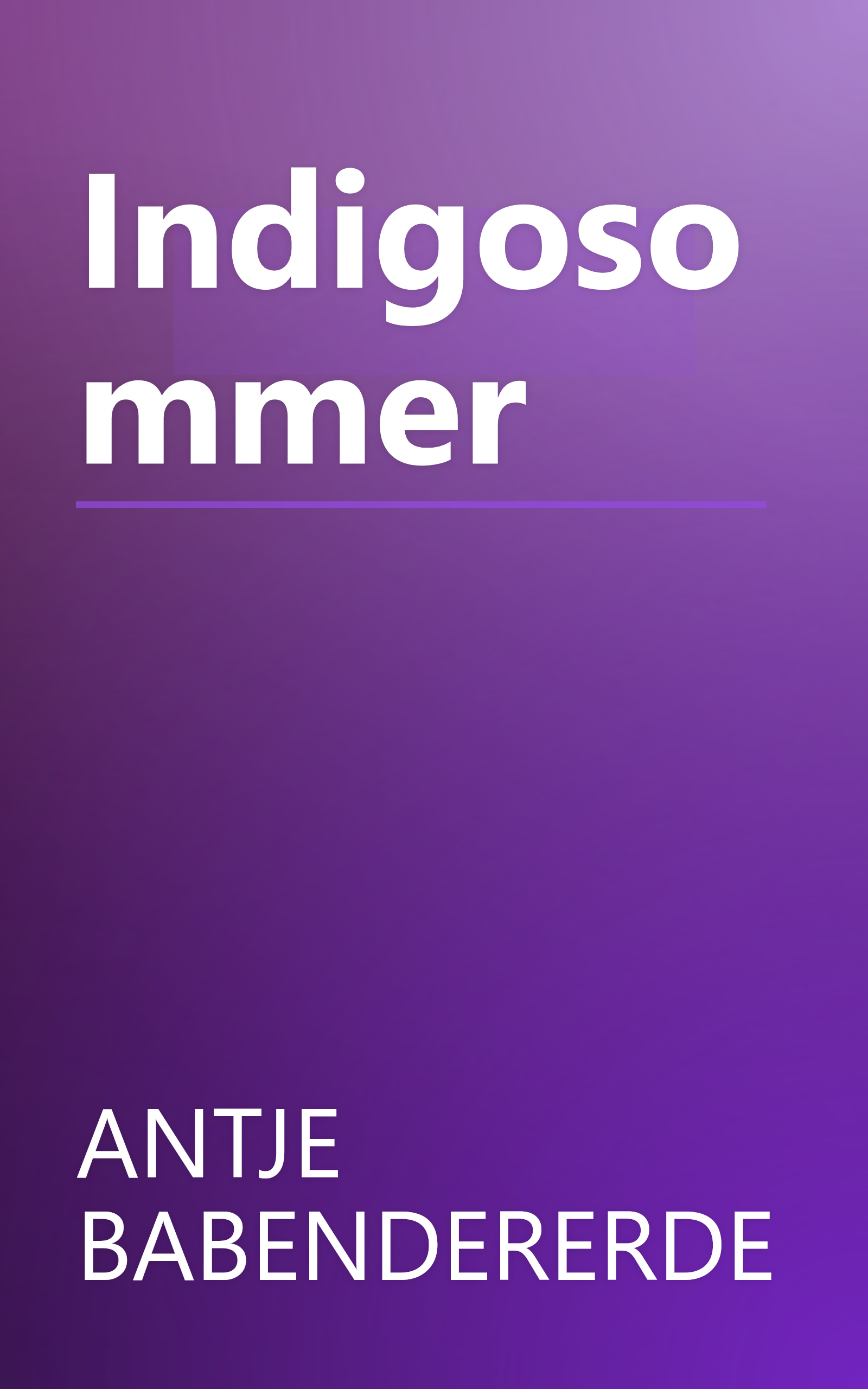 Indigosommer book cover