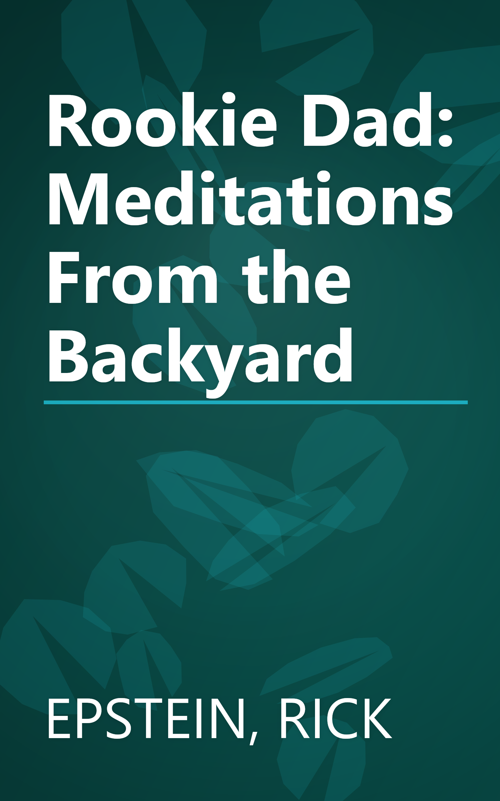 Rookie Dad: Meditations From the Backyard book cover