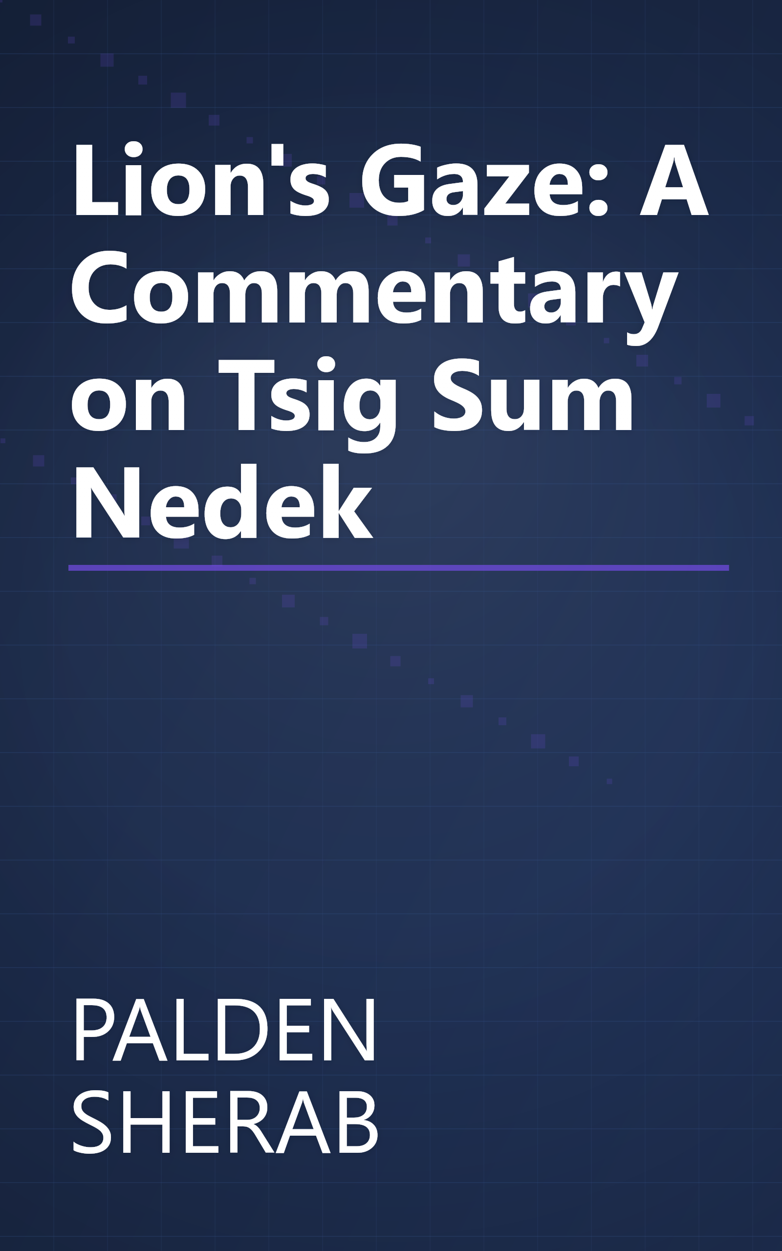 Lion's Gaze: A Commentary on Tsig Sum Nedek book cover